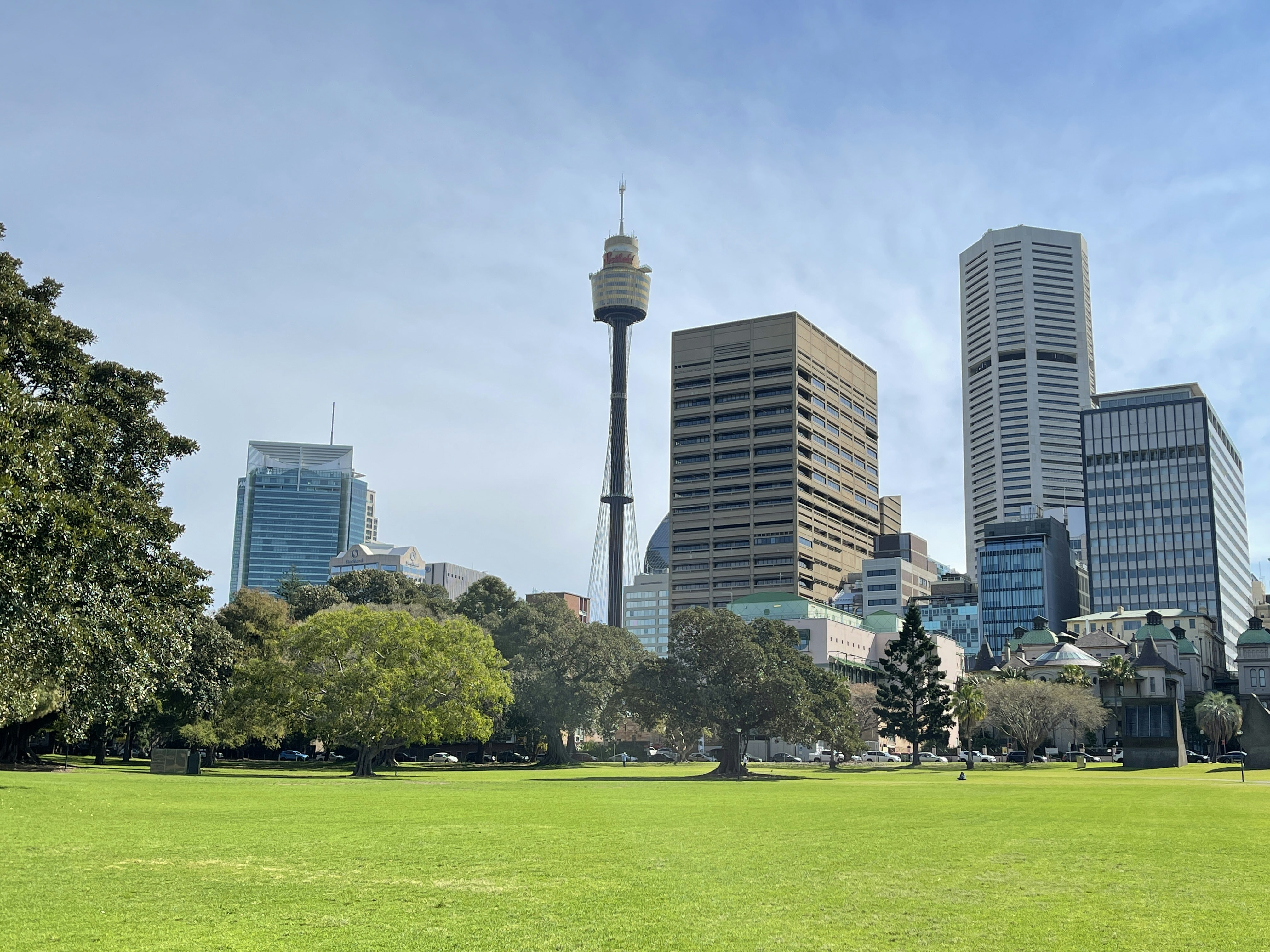 A vibrant city skyline featuring the iconic tower, framed by lush greenery in a public park setting.