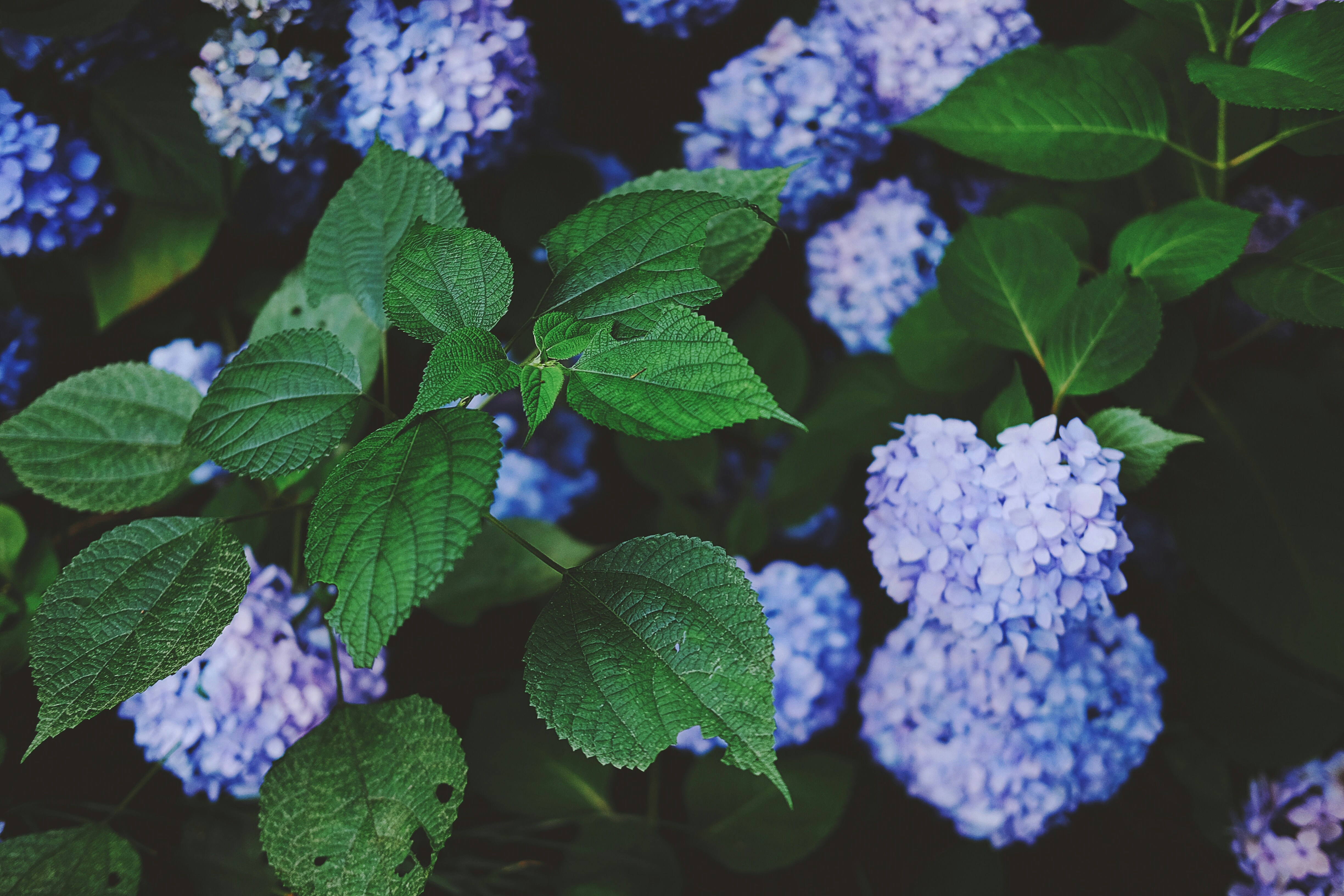 Xiang Lee (@lixzap) | Unsplashフォトコミュニティ