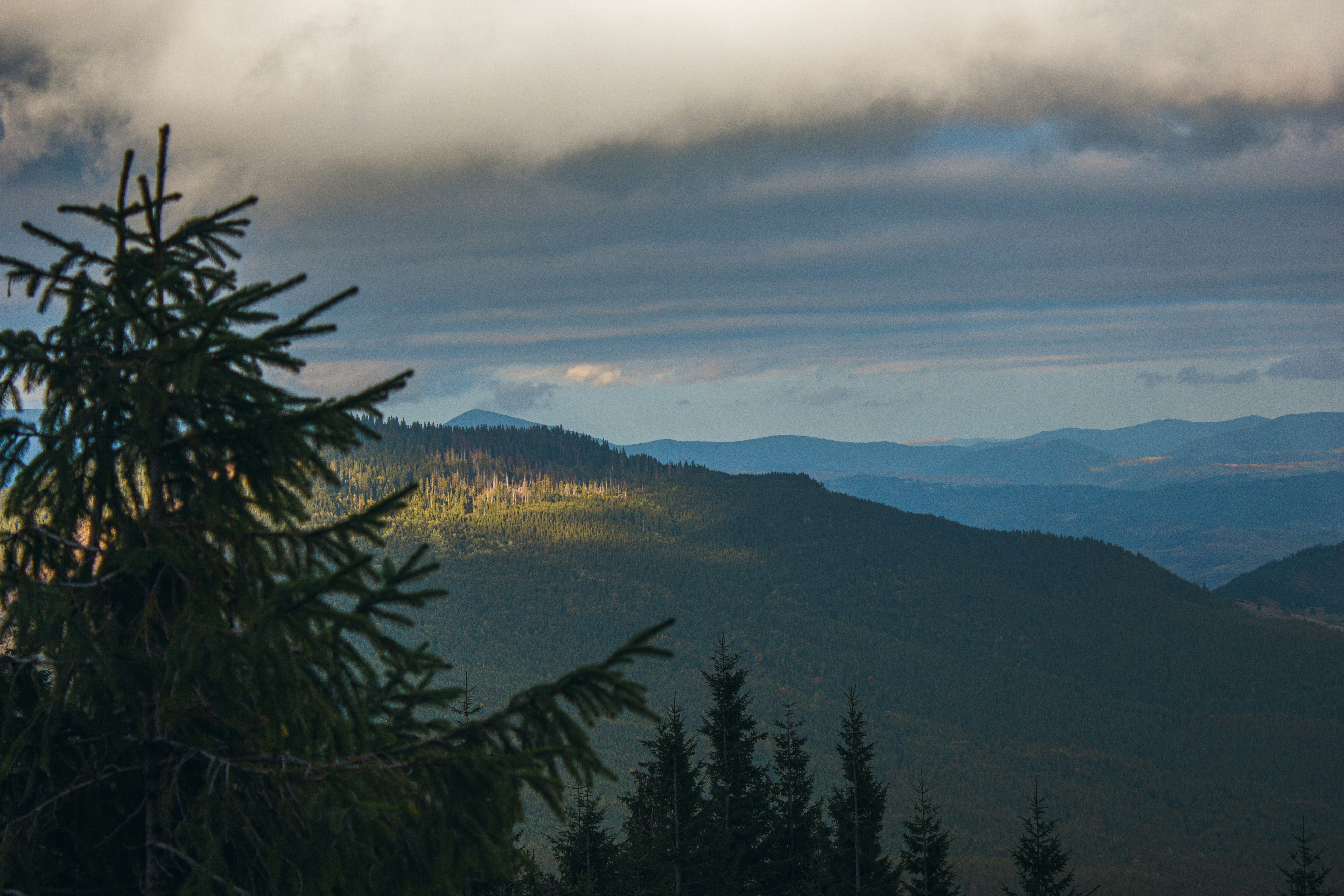 A view of a mountain range from a distance photo – Free Carpathian ...