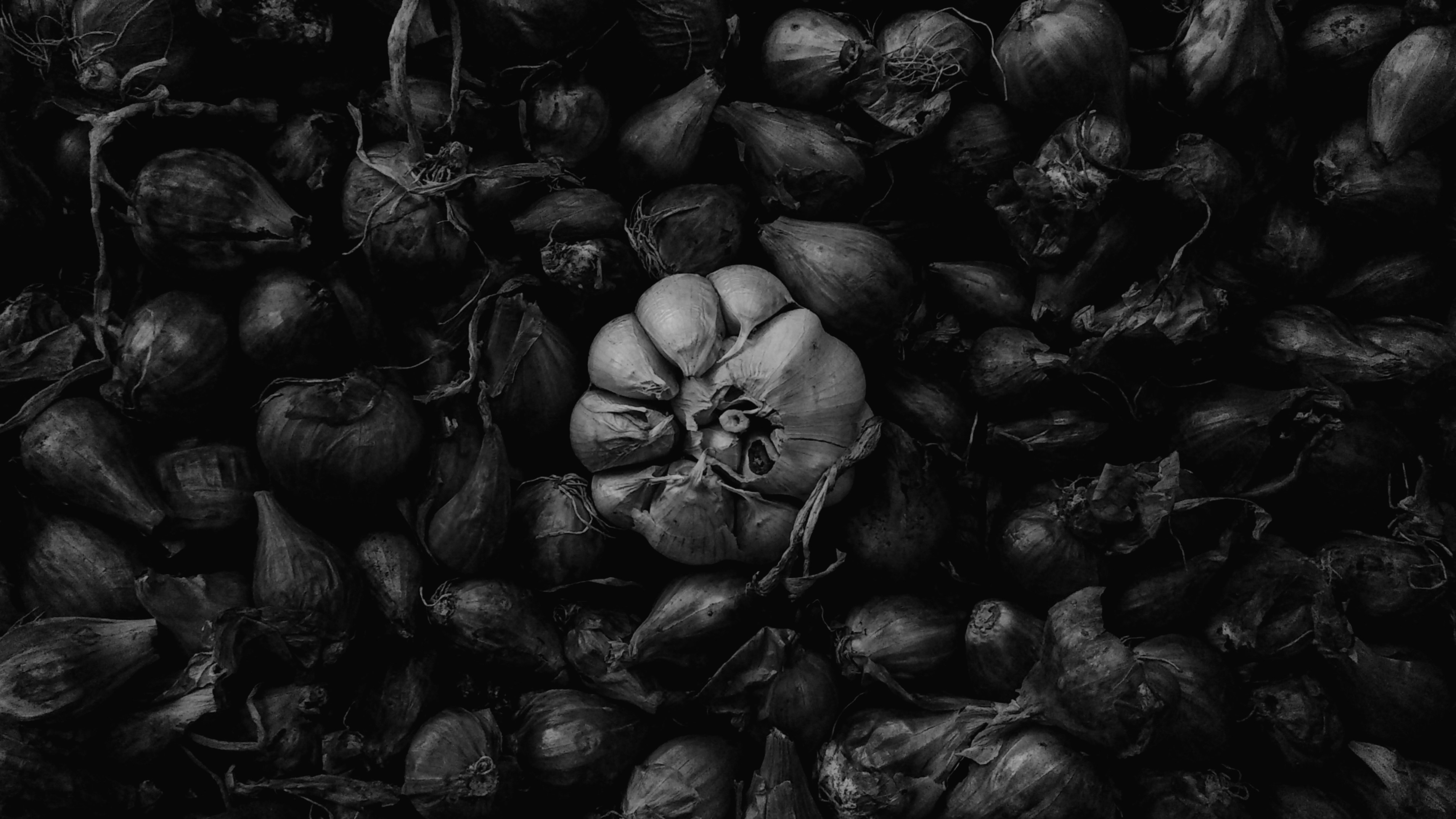 A lone tomato centerpiece amid a sea of dark onions