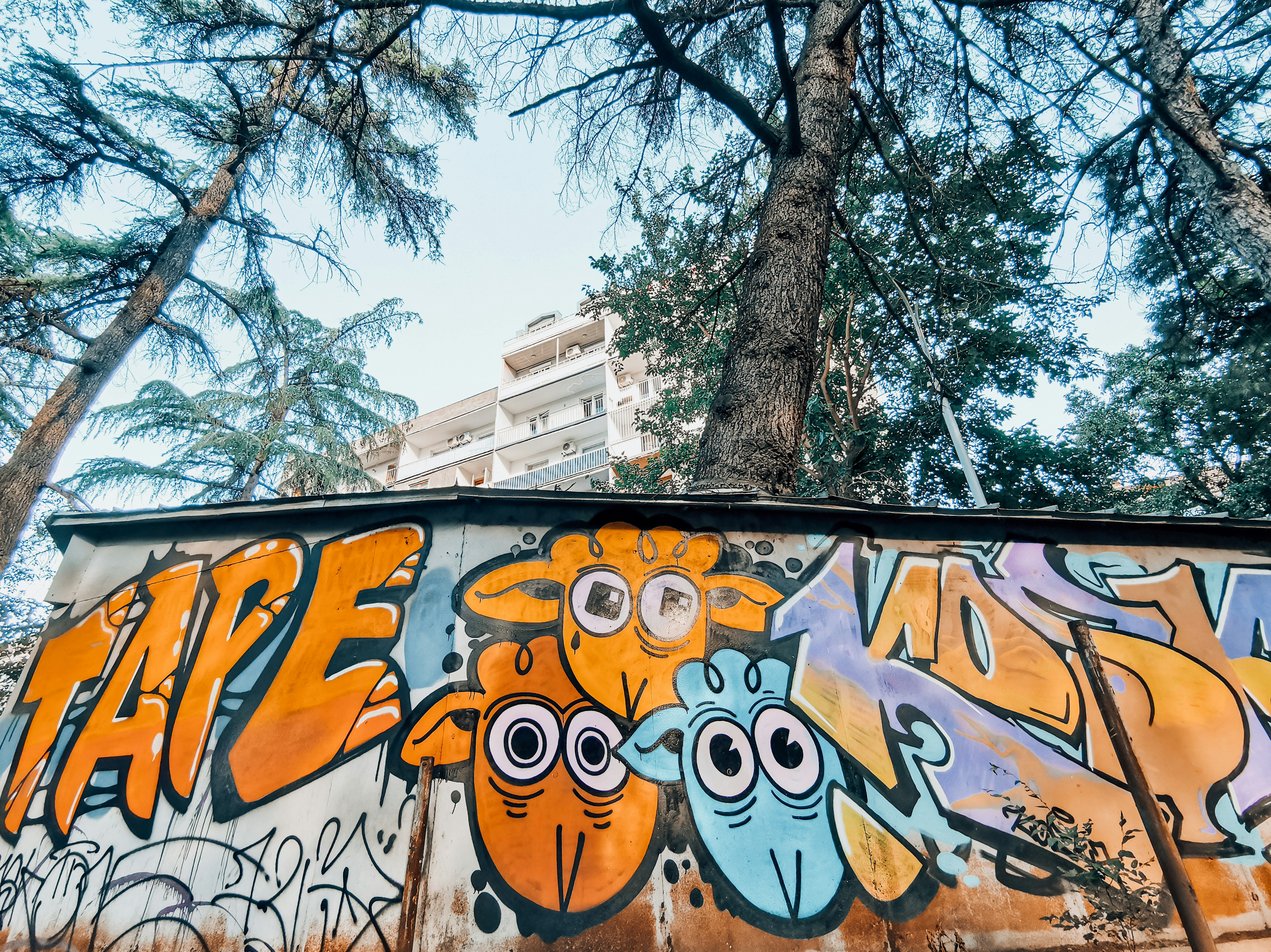 Graffiti Window to Colorful Street Vibe
