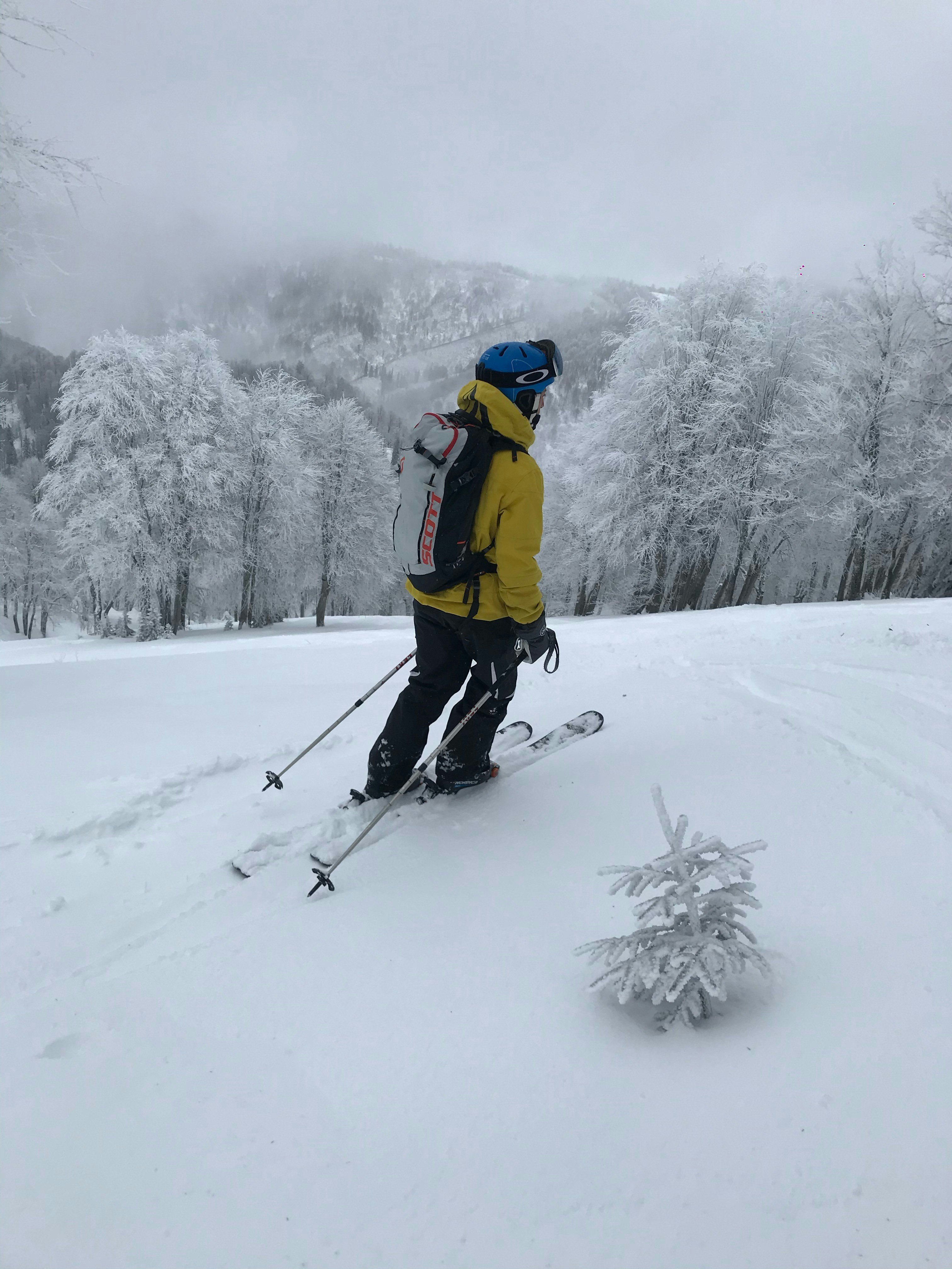 Skier in a yellow jacket glides through a snowy landscape, surrounded by frost-laden trees under a cloudy sky.