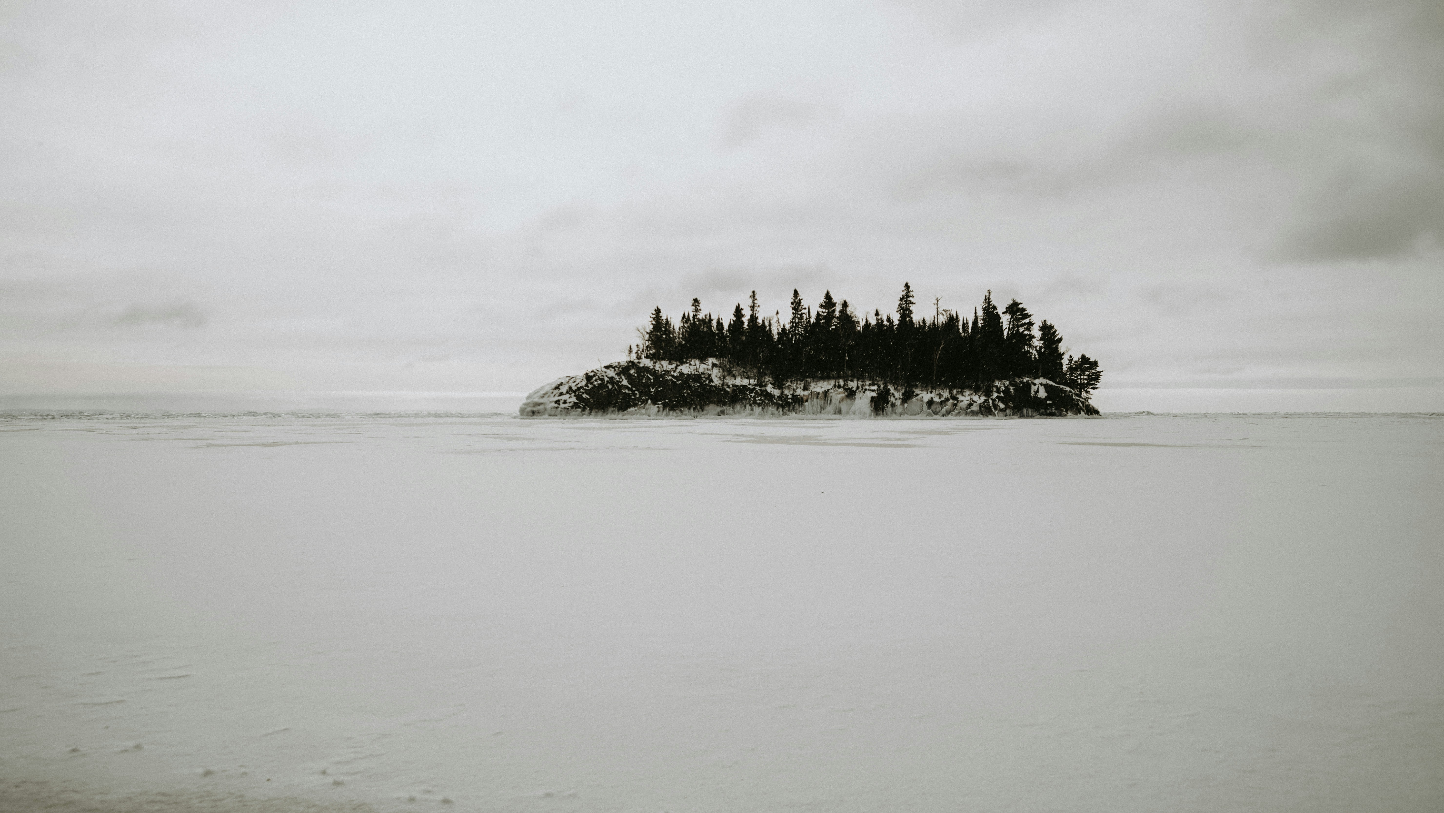 Monochrome Isle: A Quiet Forested Outpost Adrift on a Glassy Sea
