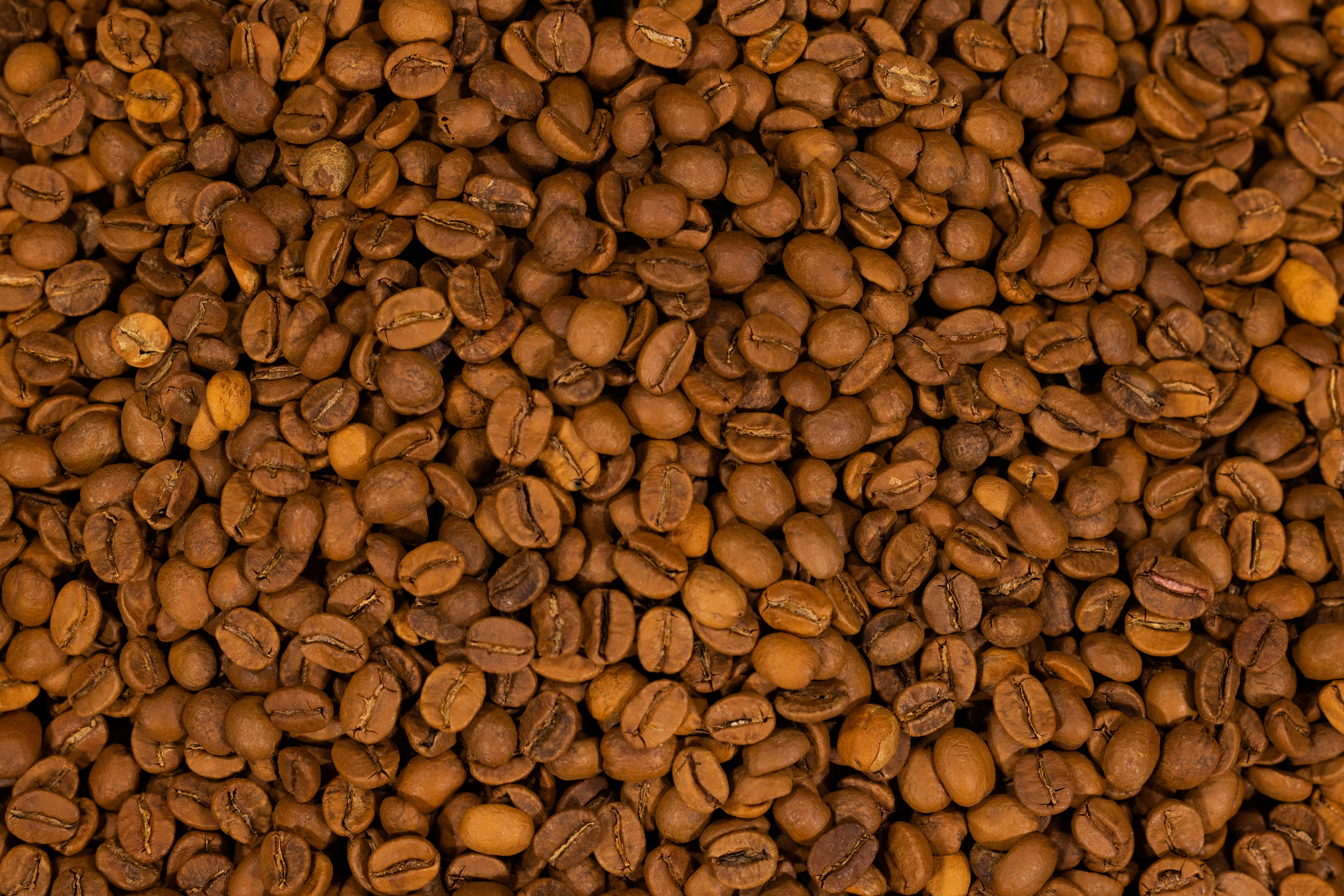 A close-up view of a variety of roasted coffee beans, showcasing their rich textures and hues. This collection highlights the diversity of coffee origins.