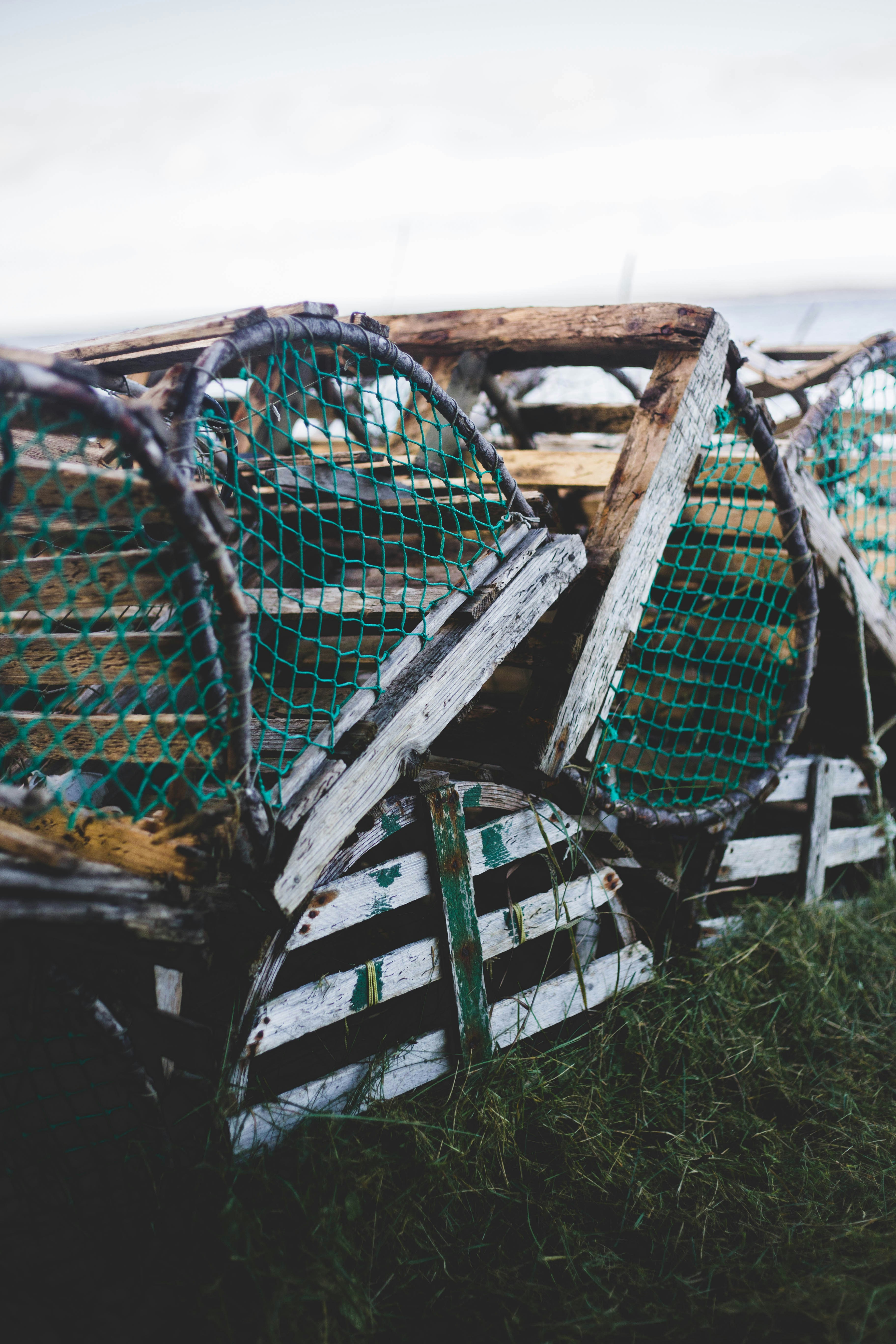 Weathered Crab Pots Resting on Turbulent Grass