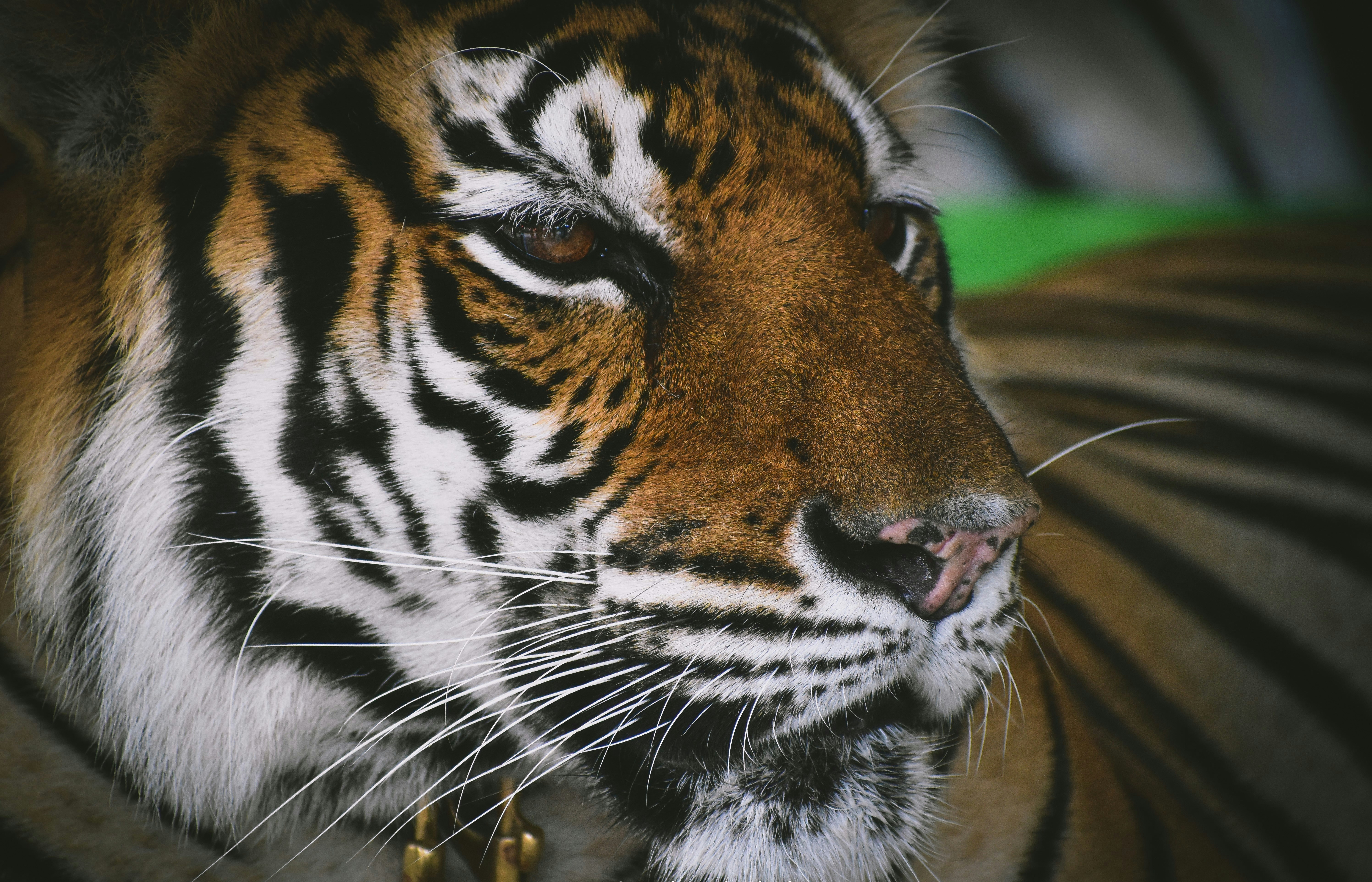 Photo by Siddharth shah with Nikon D3500