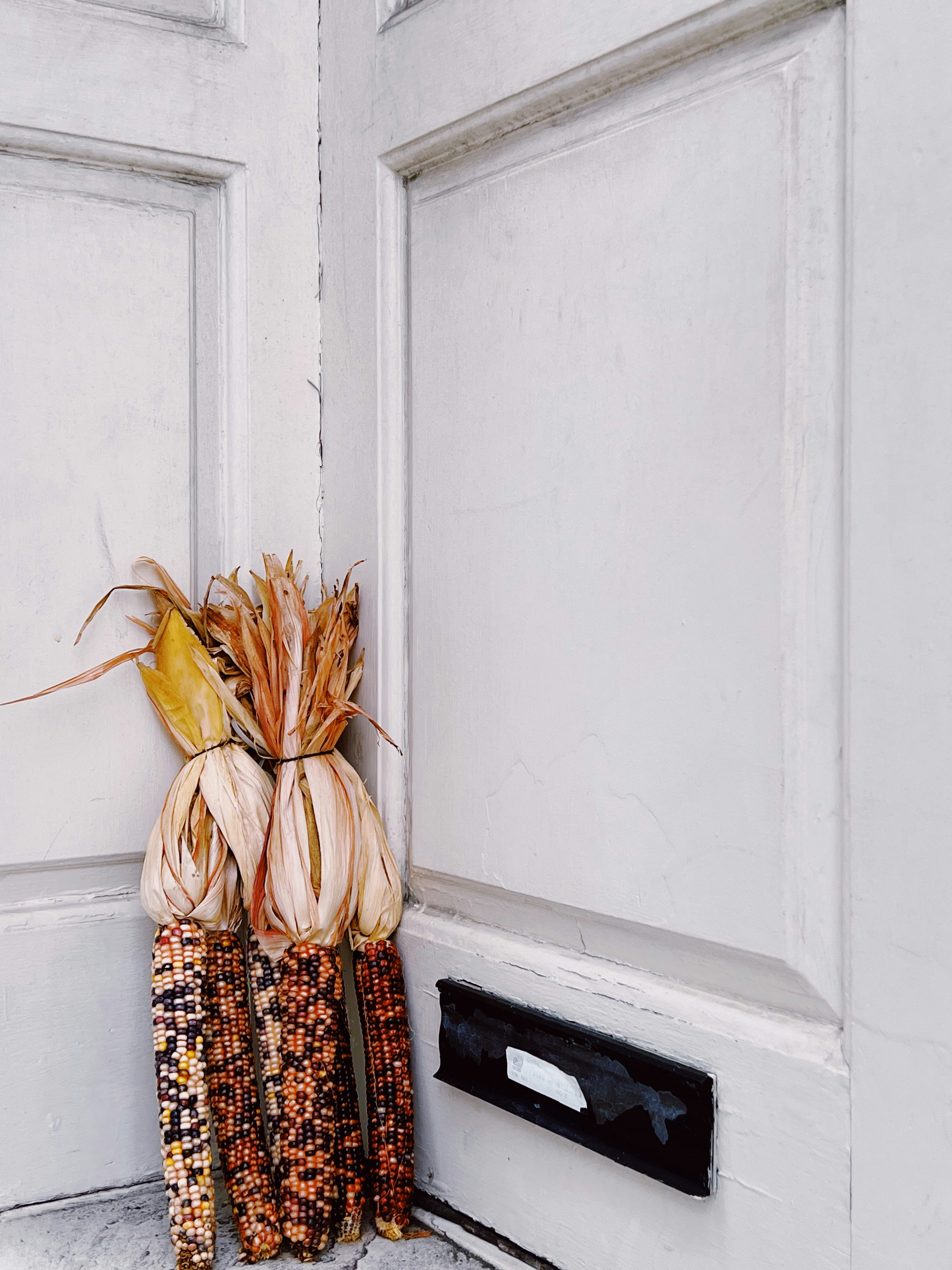 a bunch of corn on the cob in front of a door