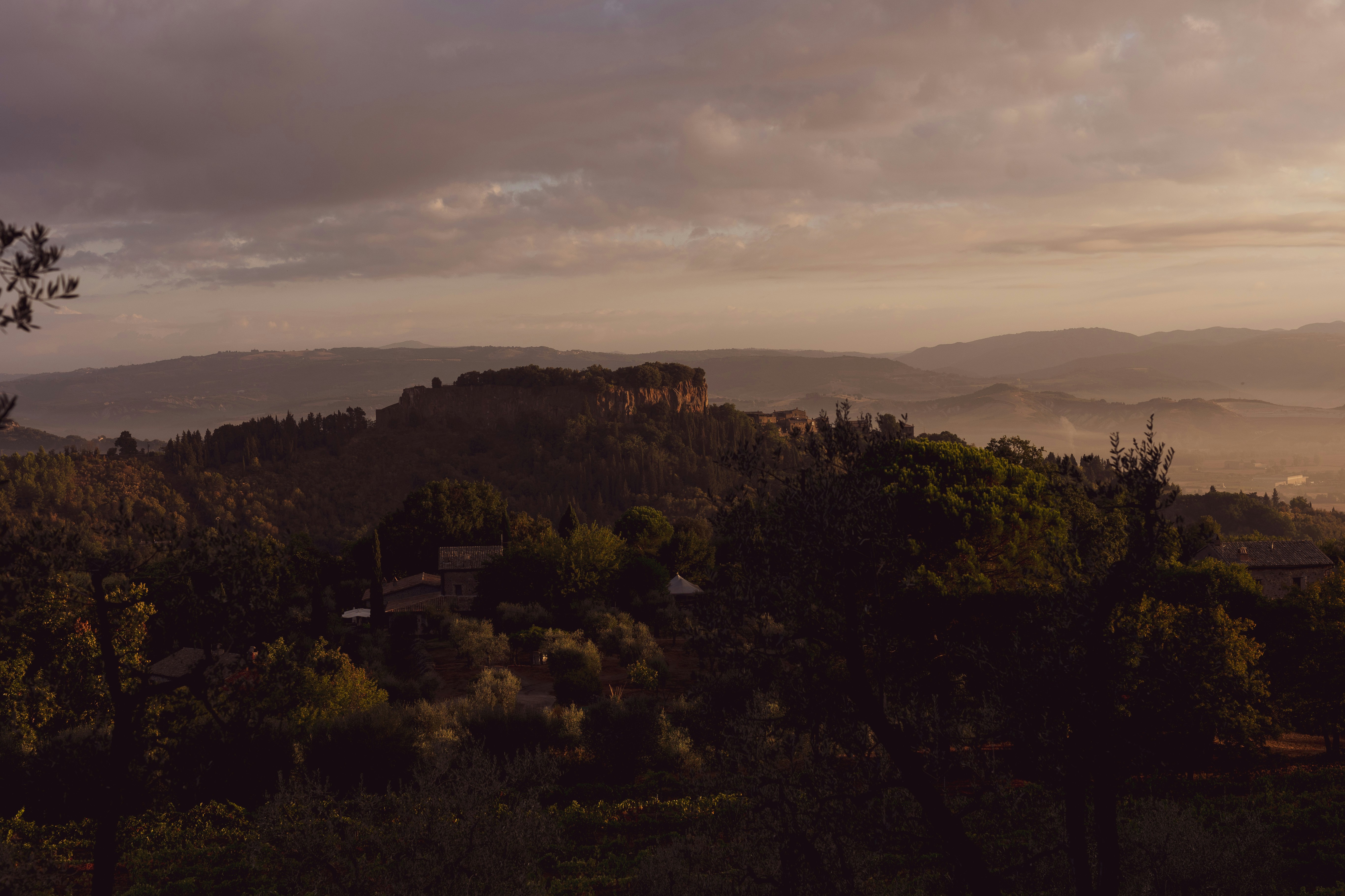 Sunrise casts a warm glow over rolling hills and a distant plateau, with trees in the foreground.