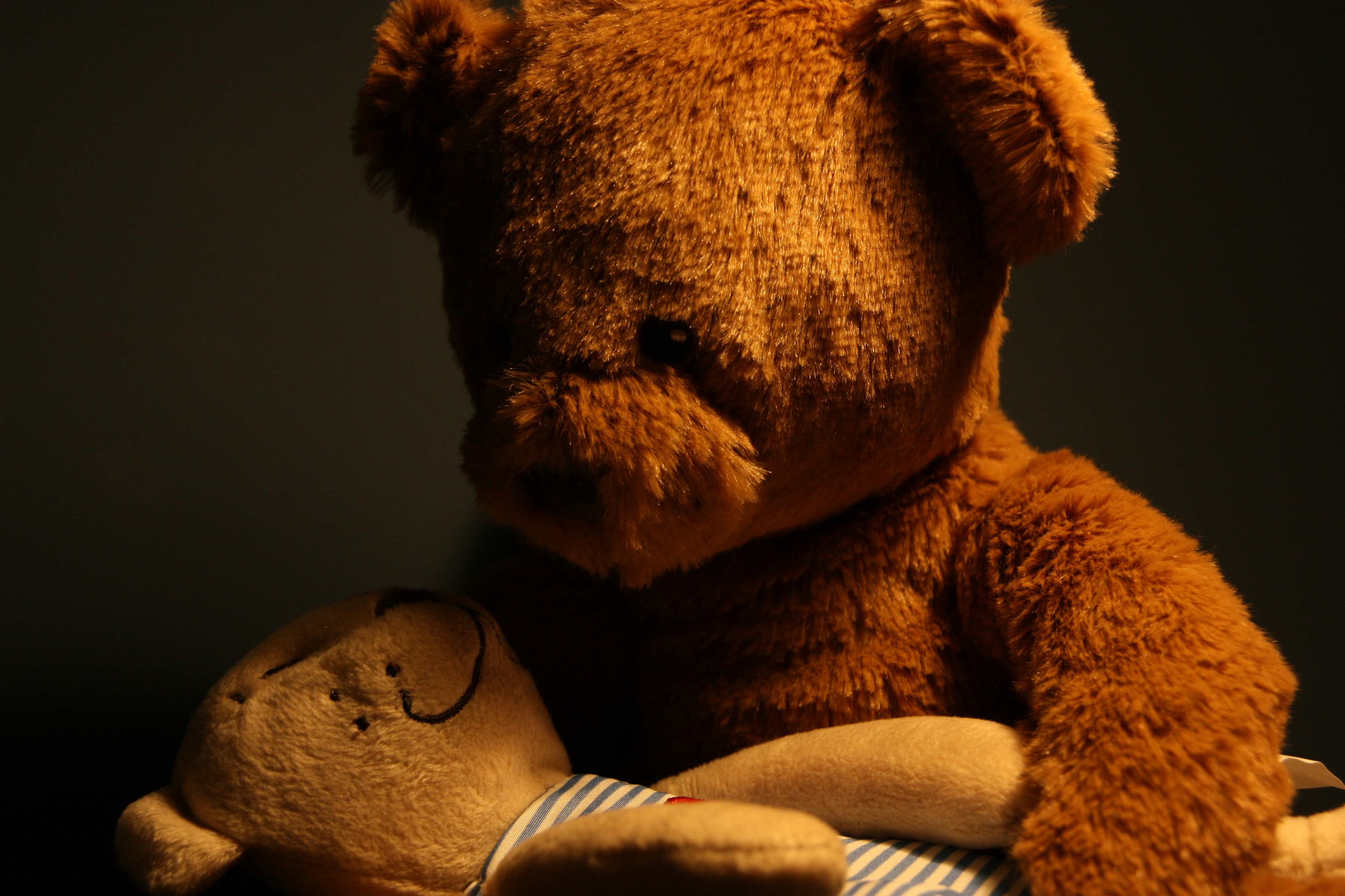 A soft teddy bear cradles a plush companion in a dimly lit setting, evoking a sense of warmth and nostalgia.