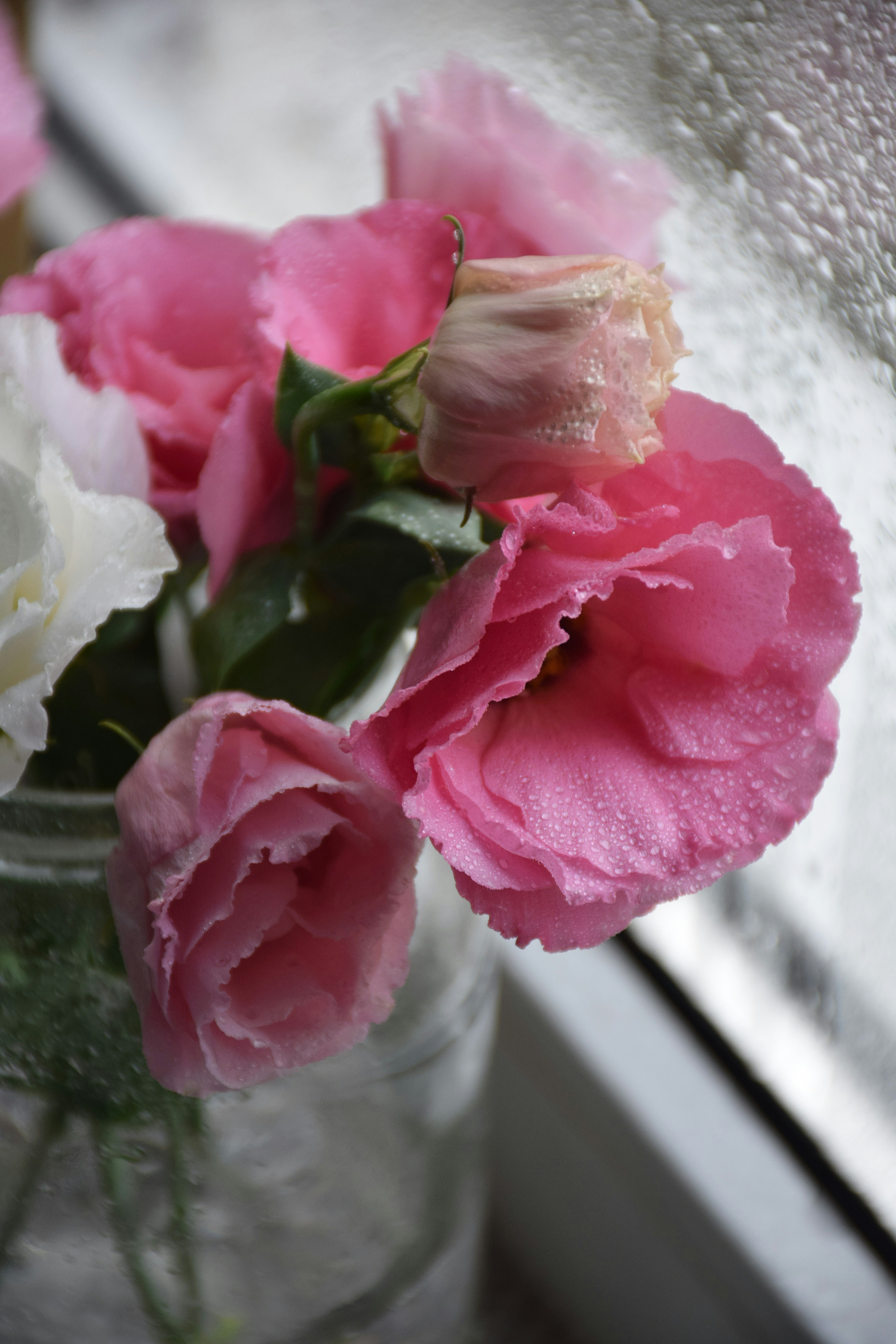 a vase filled with pink and white flowers
