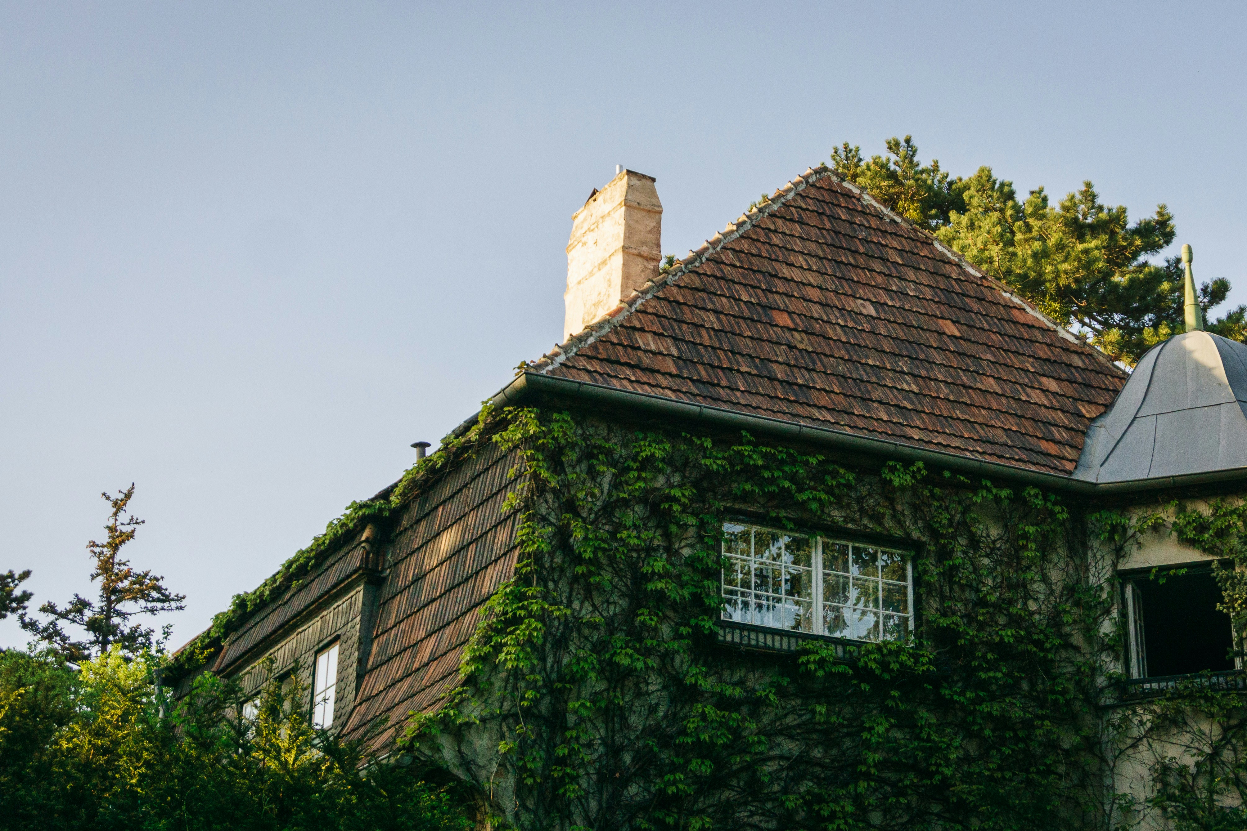 A charming house enveloped in lush greenery, showcasing a textured roof and a hint of rustic architecture. The interplay of light and foliage creates a serene atmosphere.