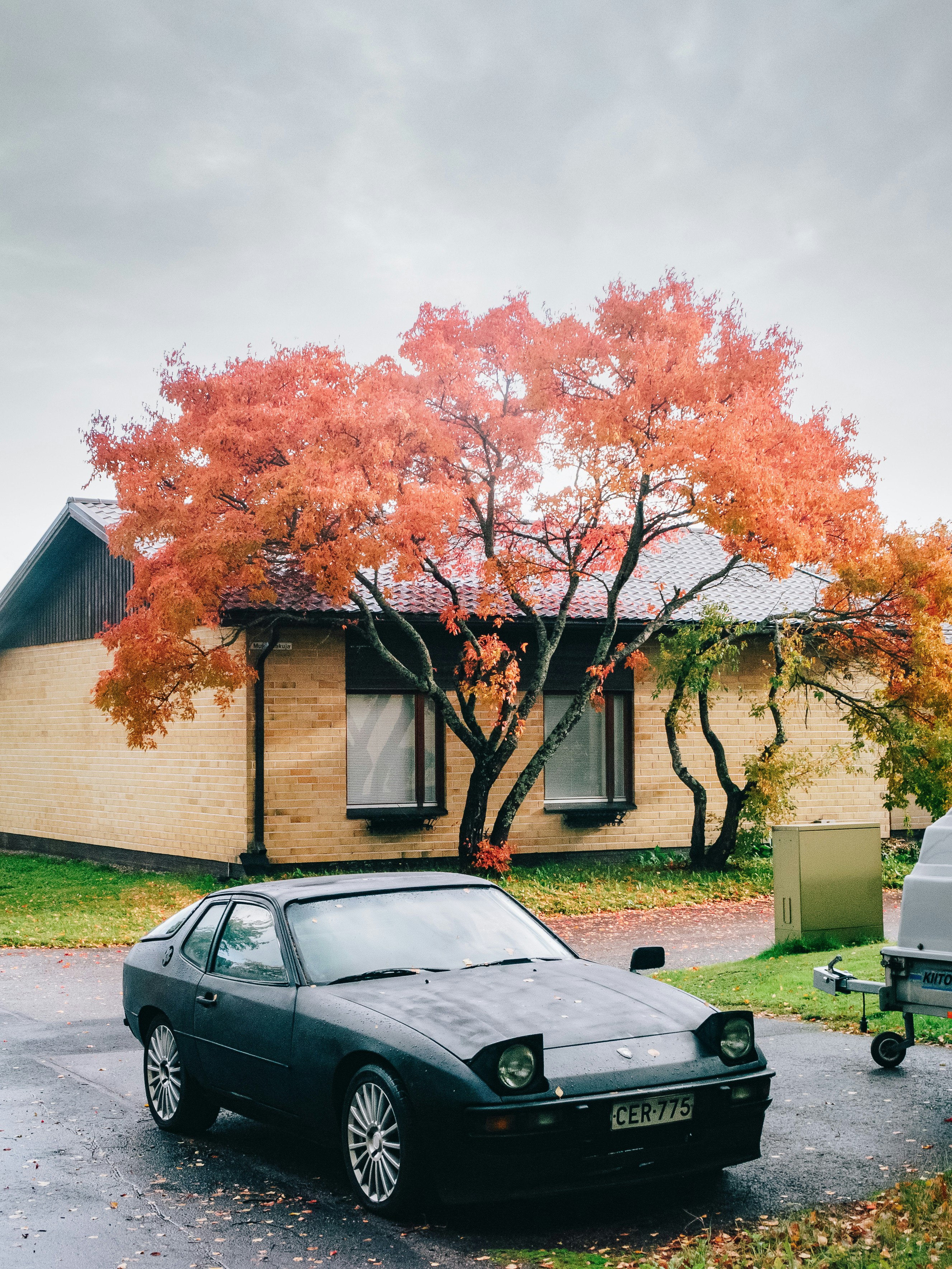 Autumn Redust: A Sports Coupe Under a Maple Canopy