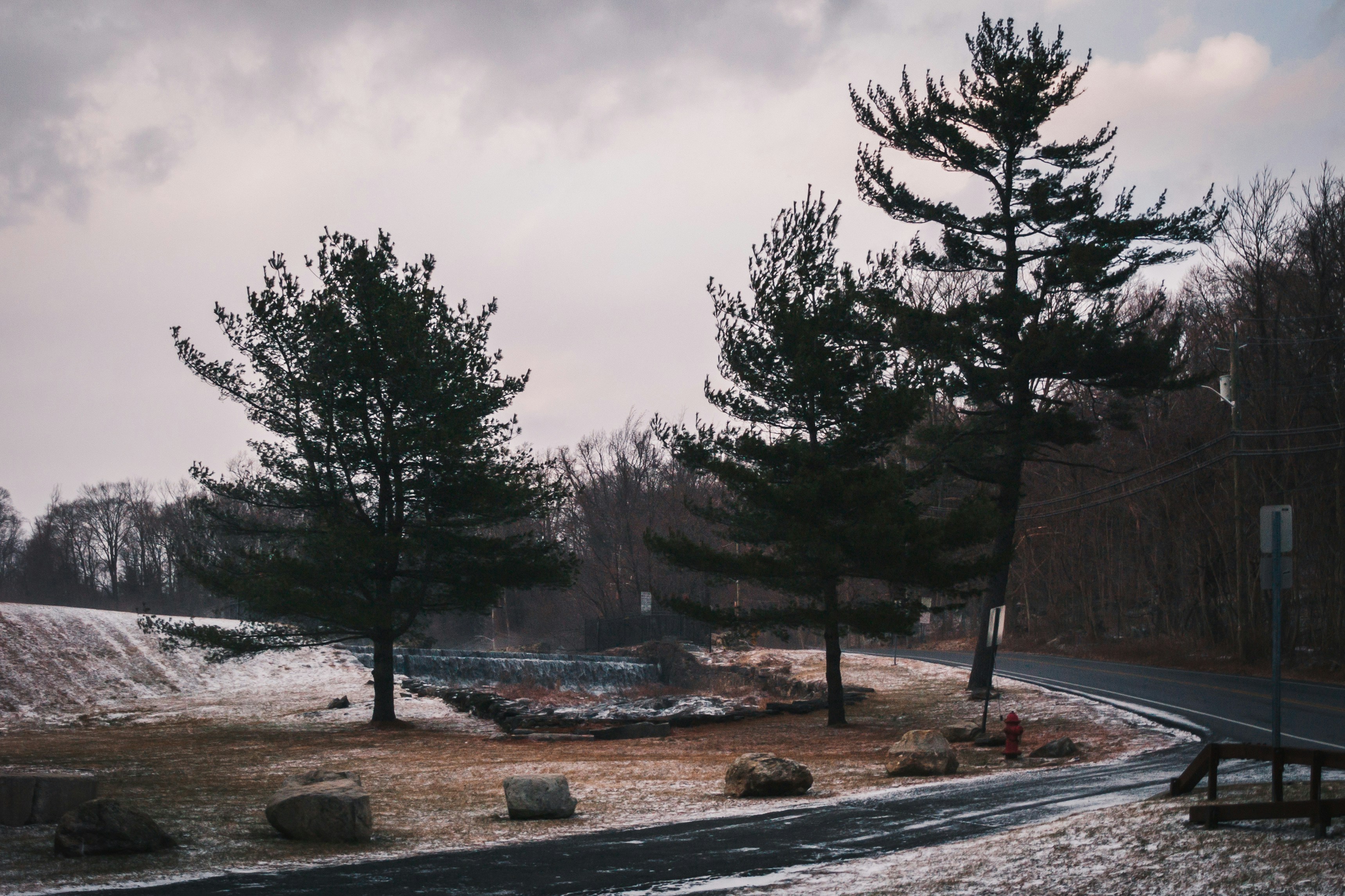 Snow-dusted trees line a quiet road under a cloudy sky.