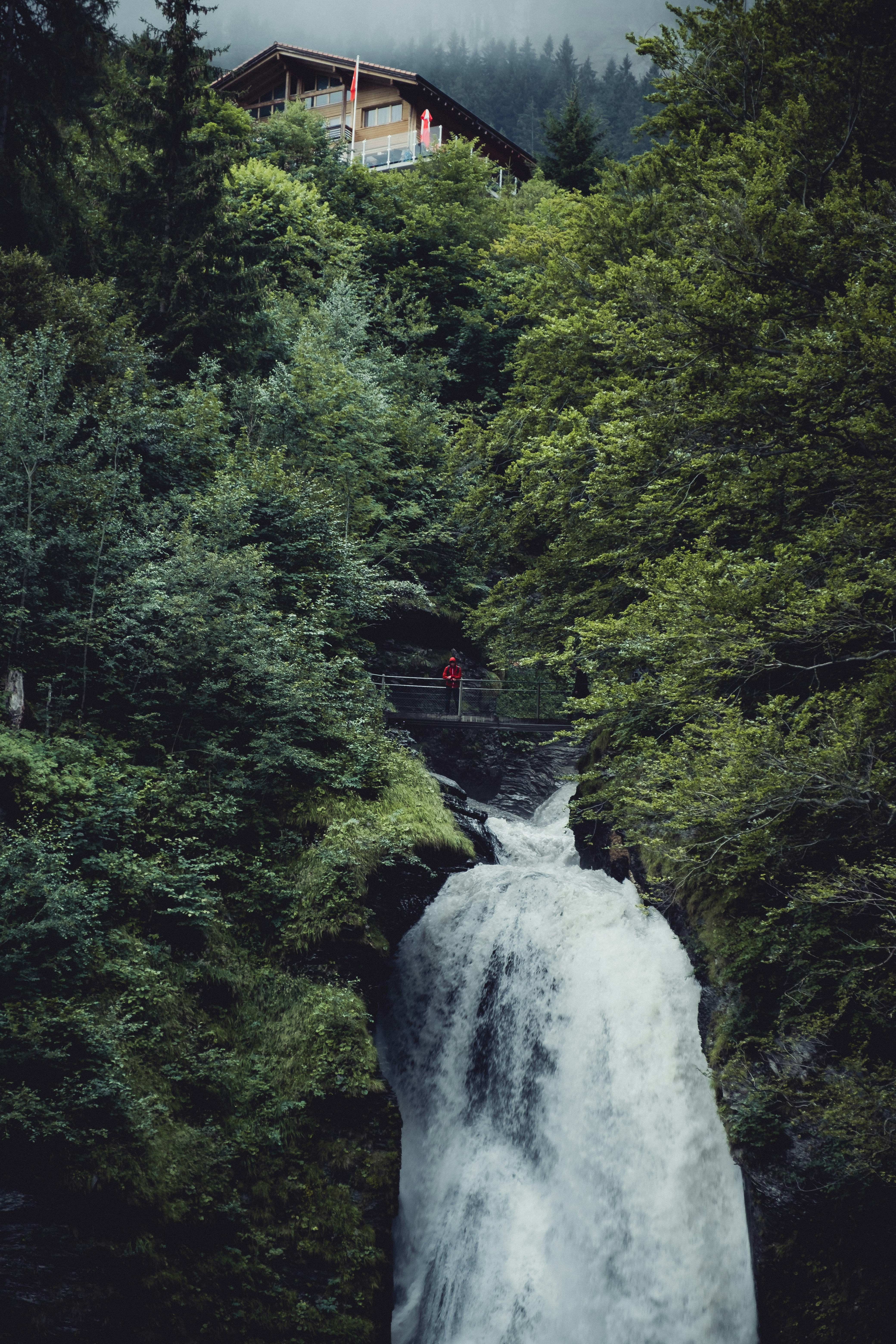 A man standing on top of a waterfall next to a forest photo – Free ...
