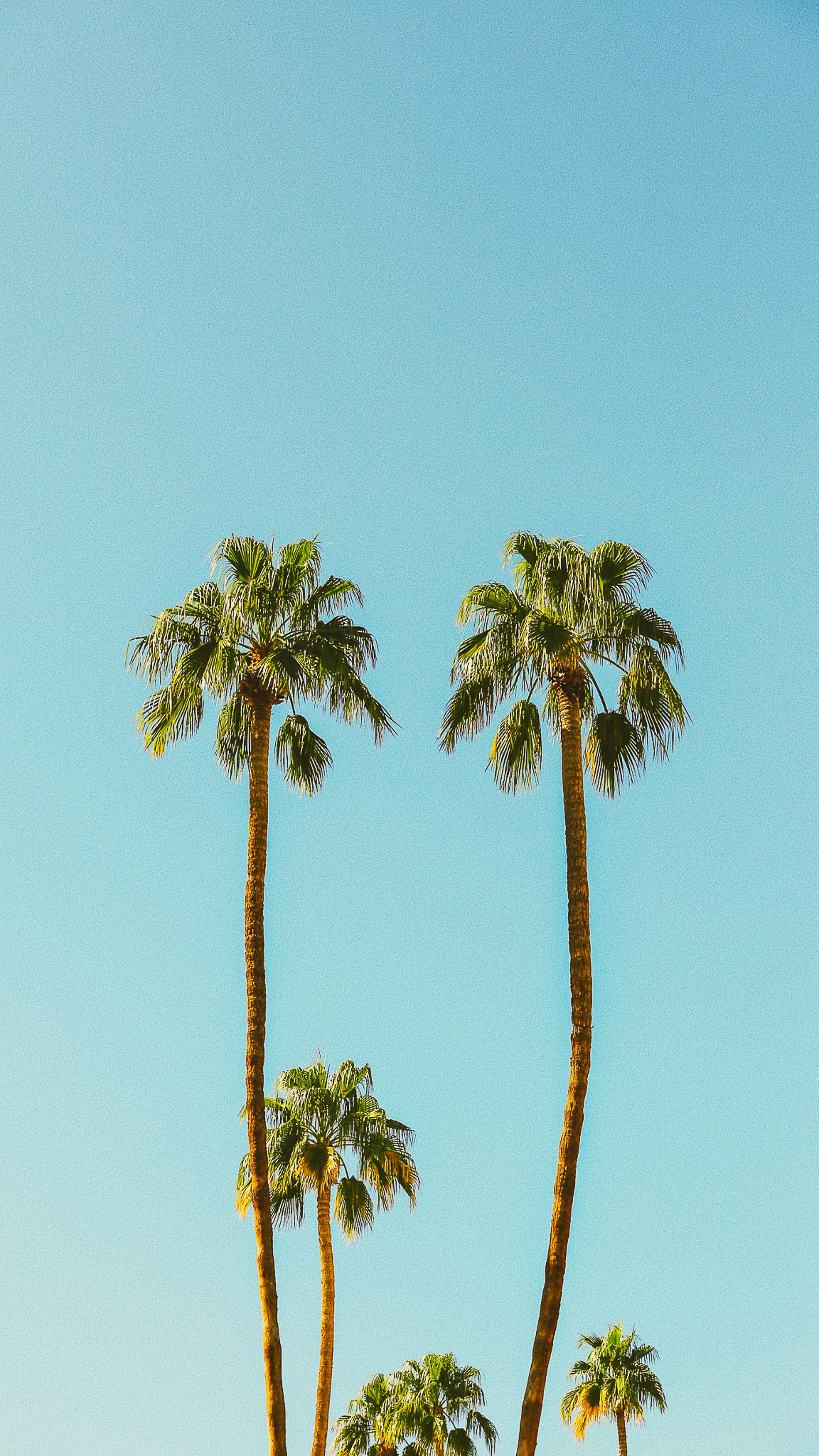 Spring Summer Pictures | Download Free Images on Unsplash