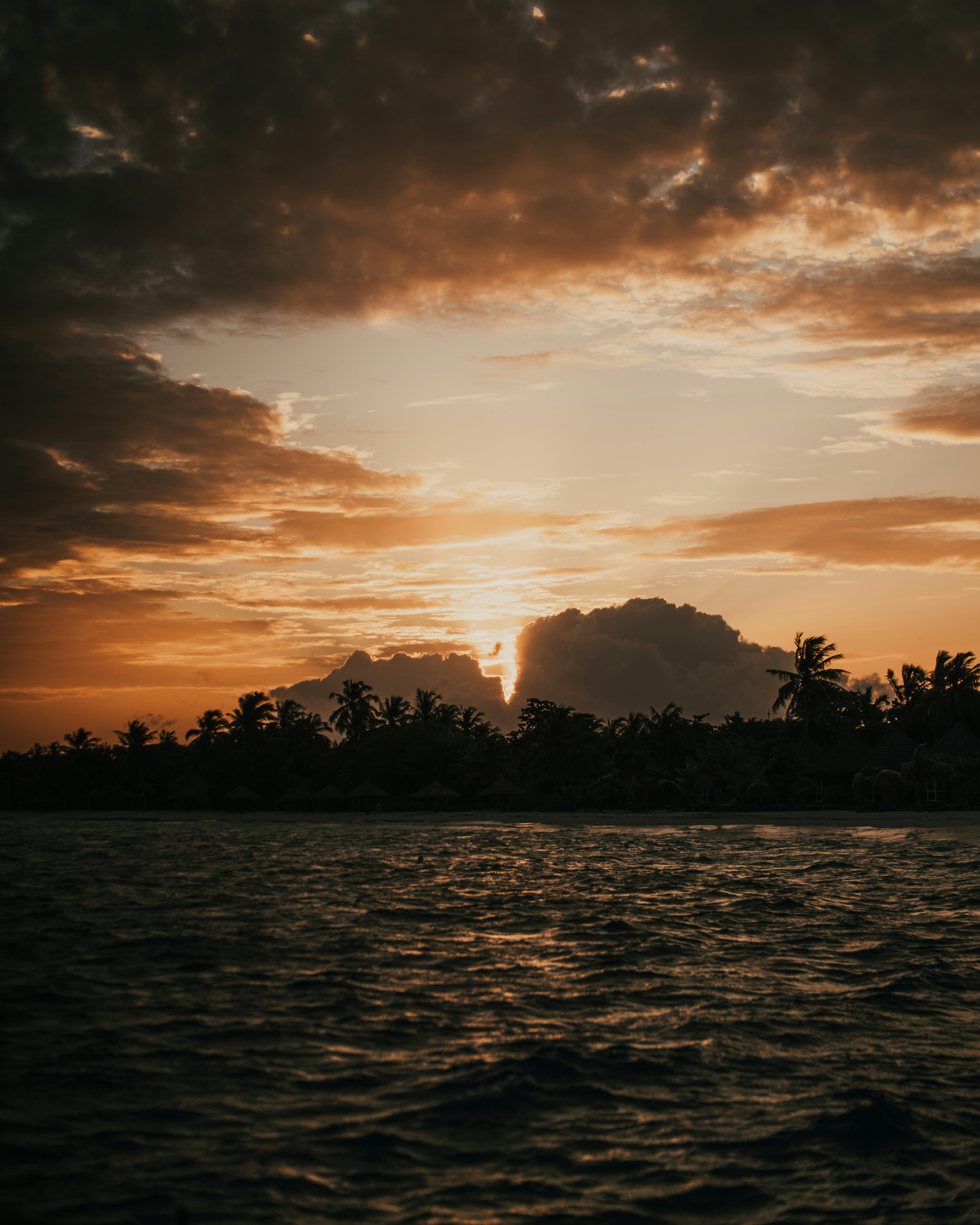 Ember Horizon: Palm Silhouettes at Tropic Sundown