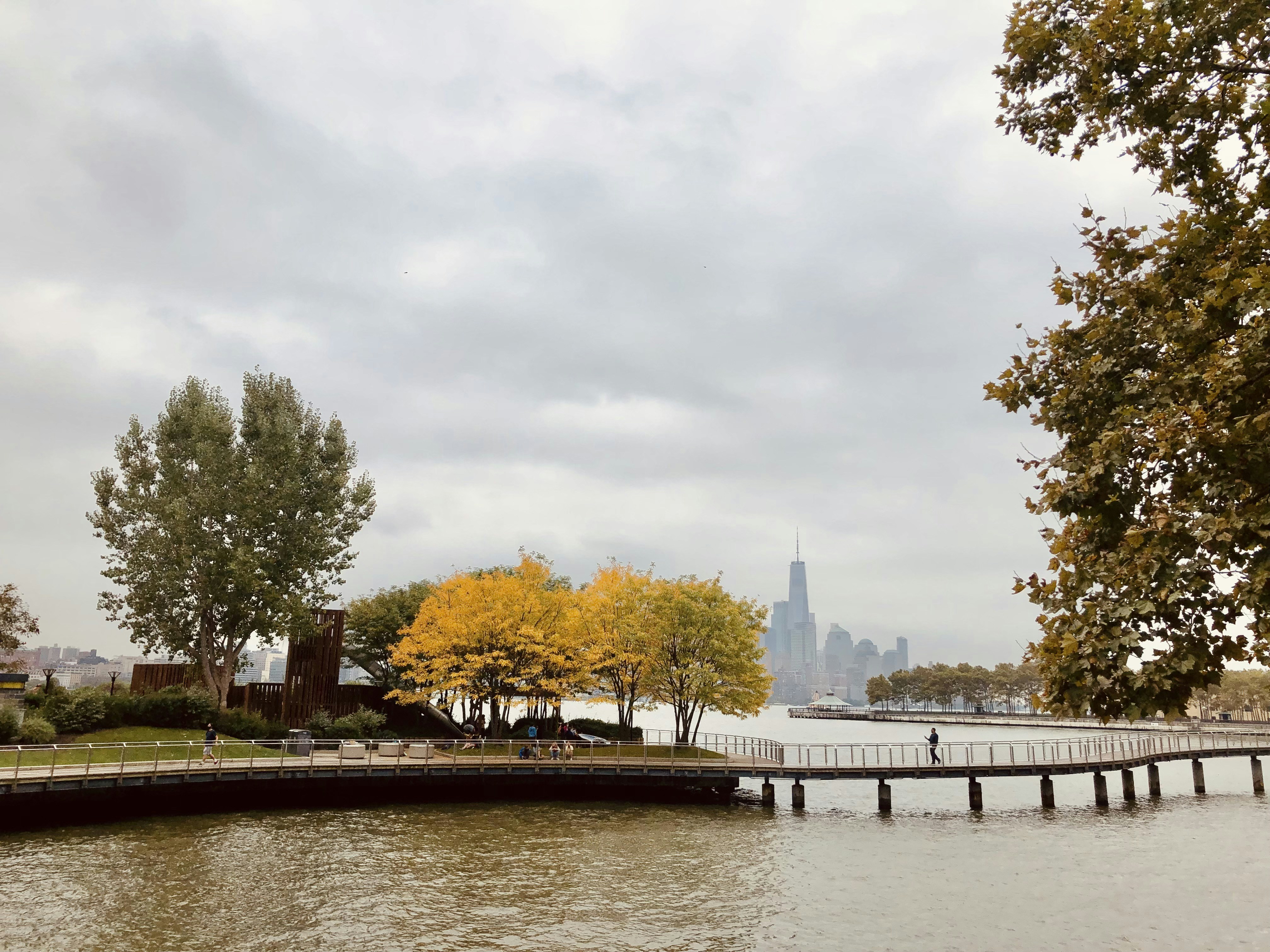 Autumn Row by the Waterfront: Golden Trees and Distant Skyline