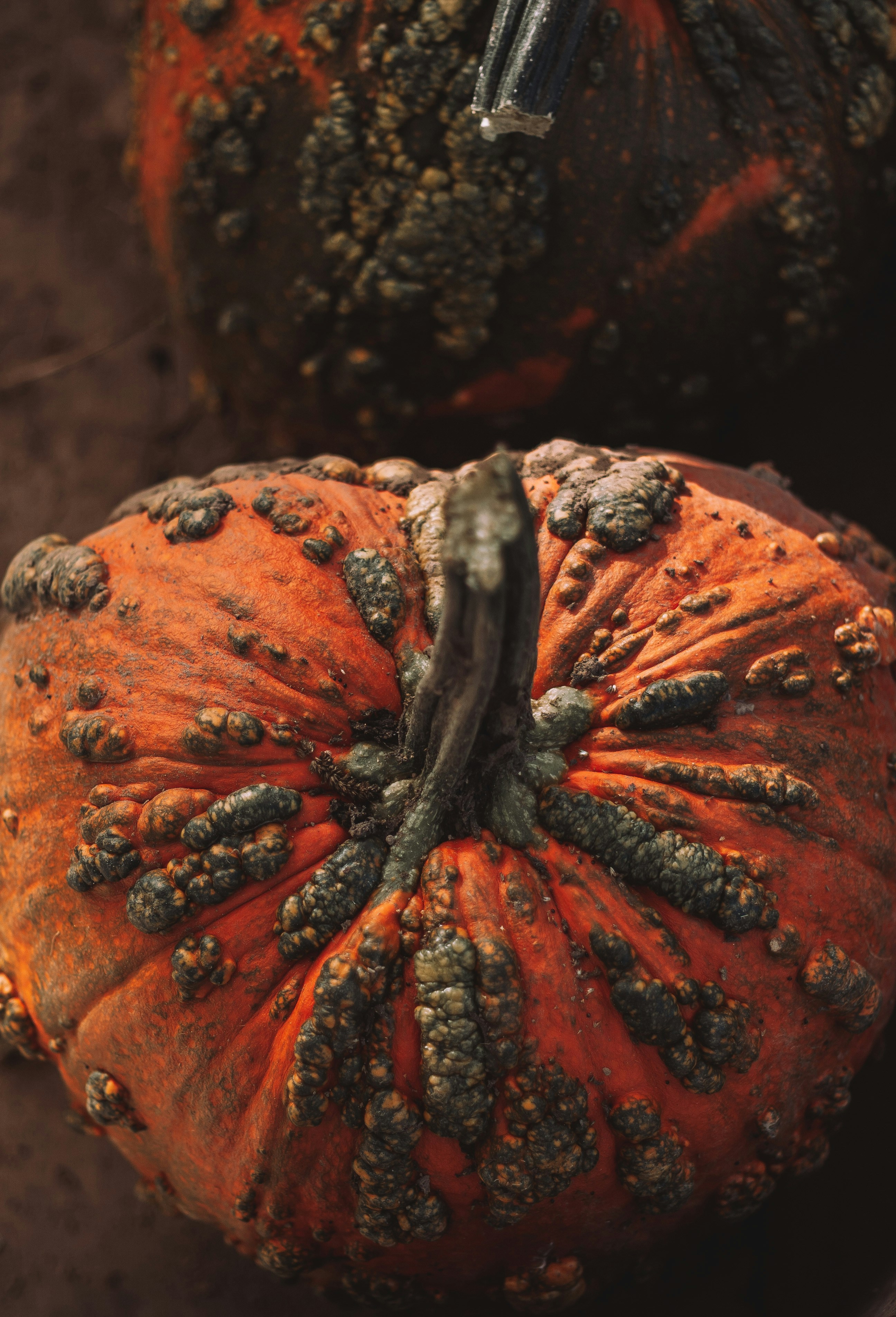 a close up of a pumpkin with dirt on it