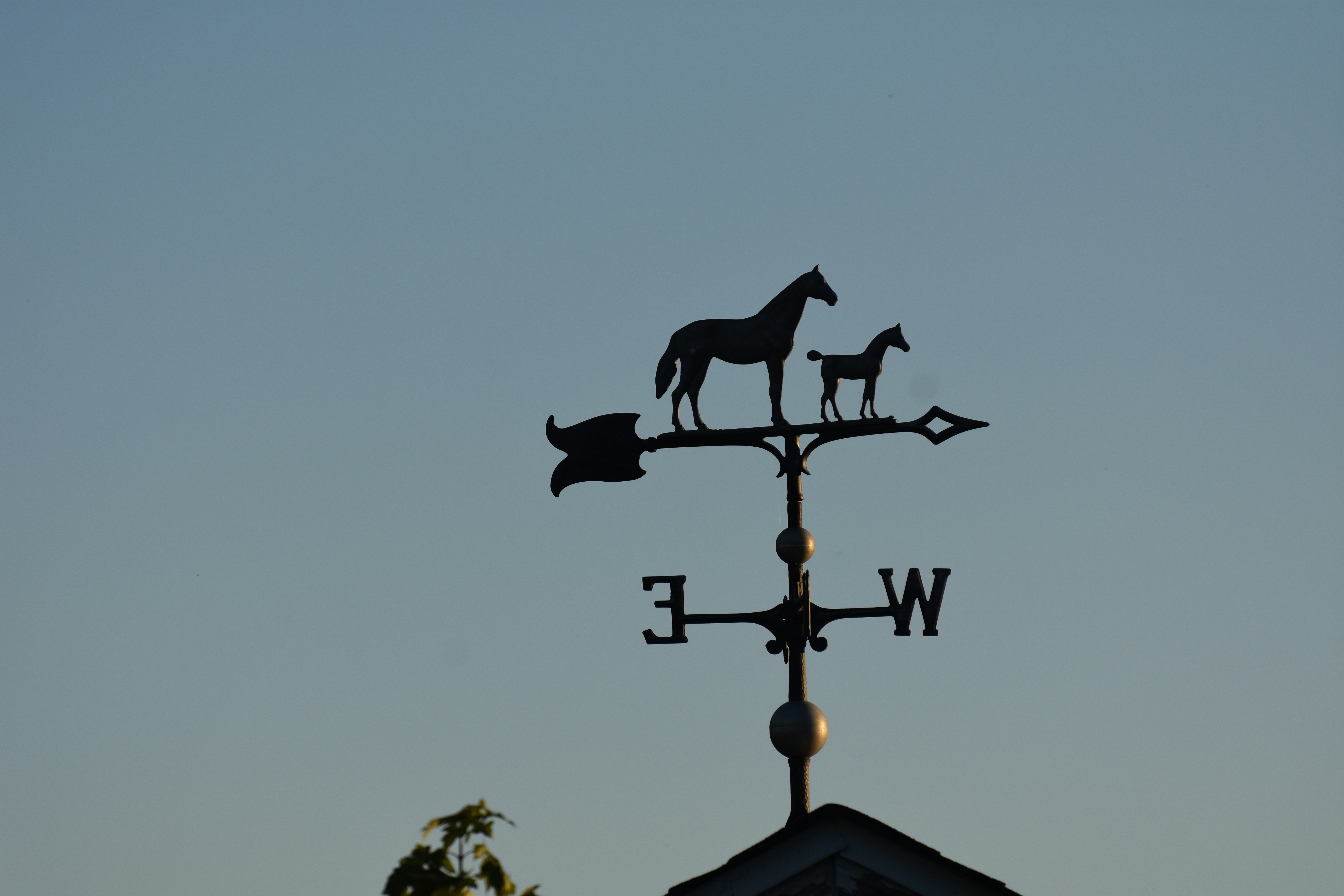 Horse-Top Weather Vane Silhouette Against a Clear Sky