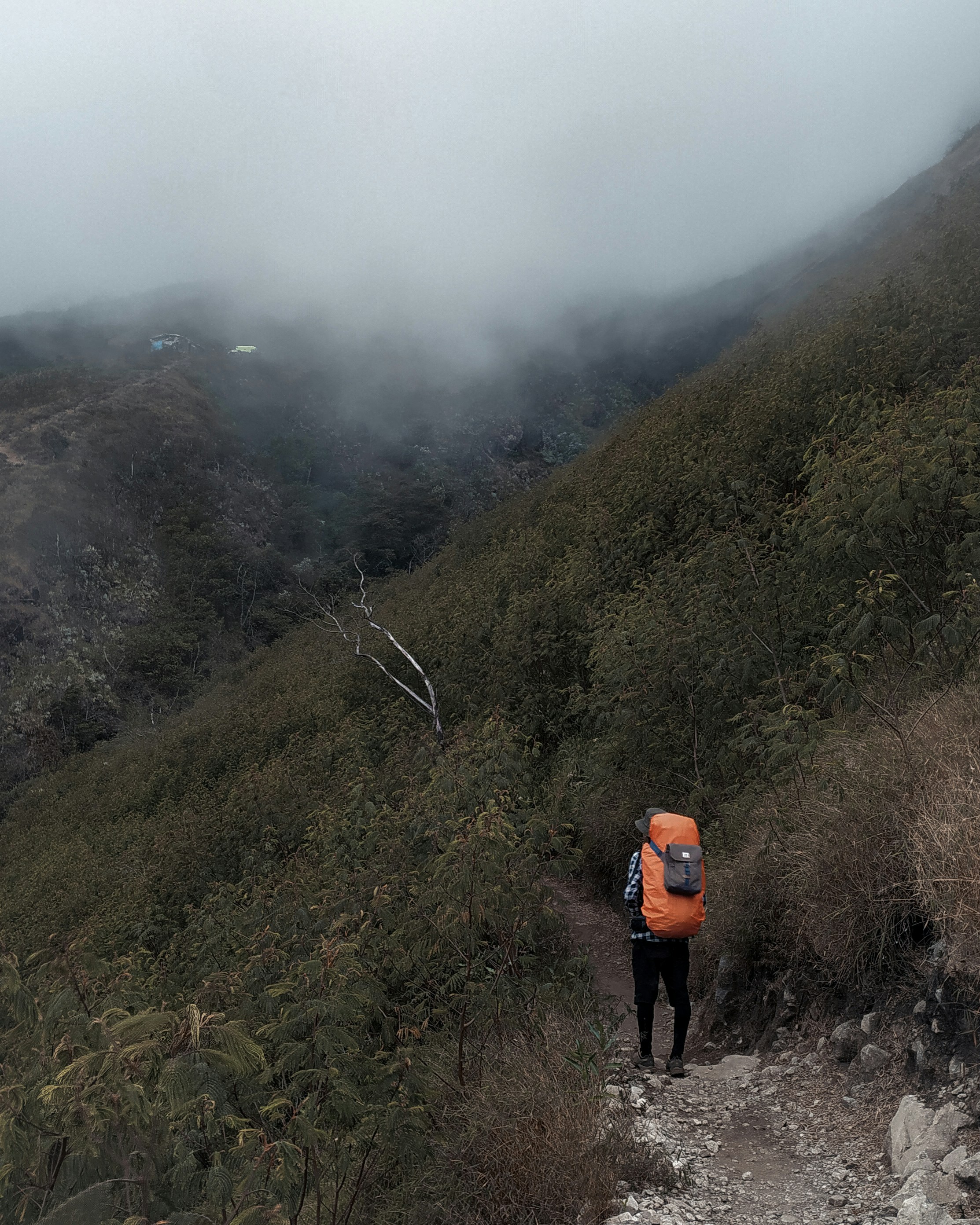 Hiker with an orange backpack traversing a narrow path through lush, fog-covered hills. The scene evokes a sense of adventure and exploration.