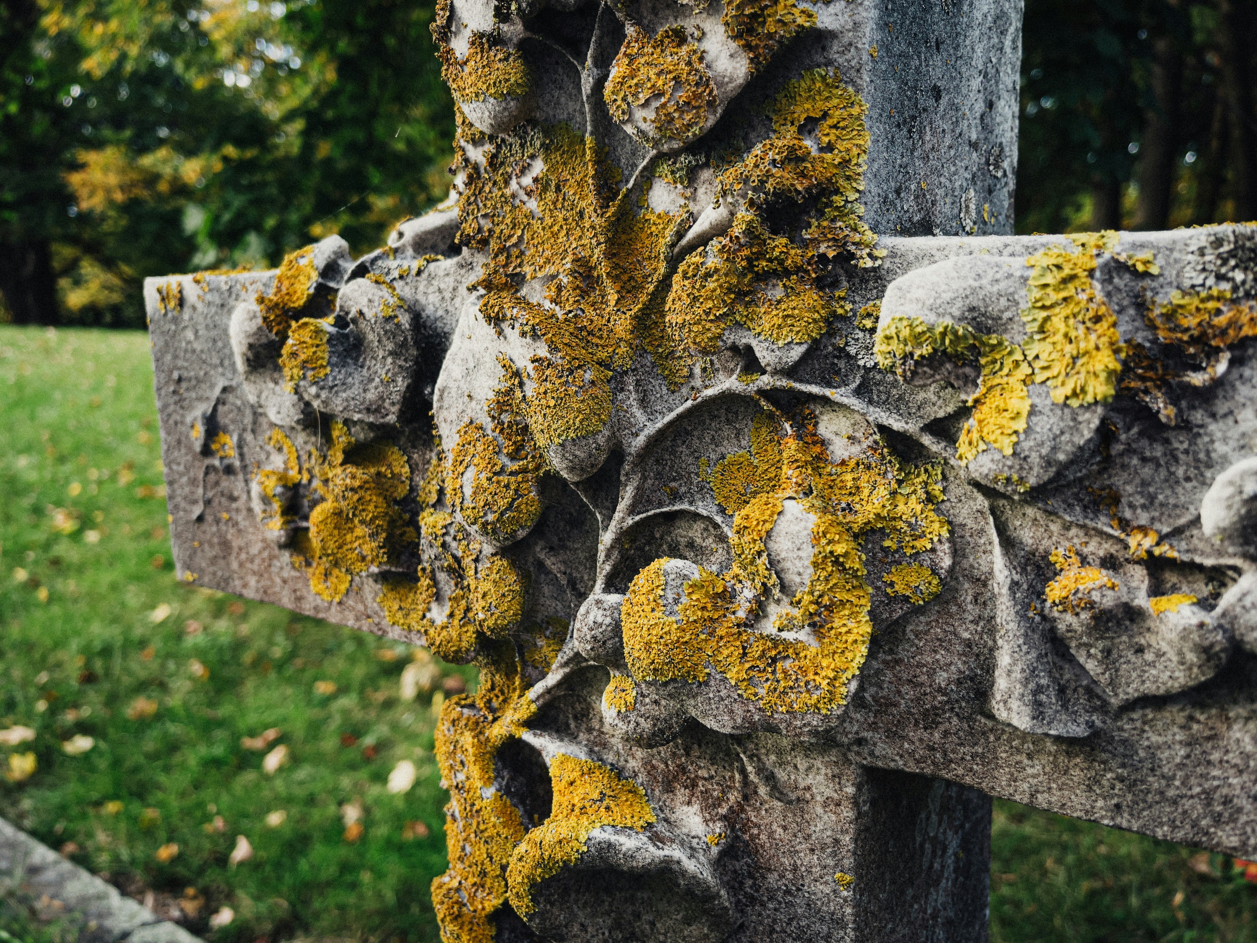 a close up of a stone cross with moss growing on it