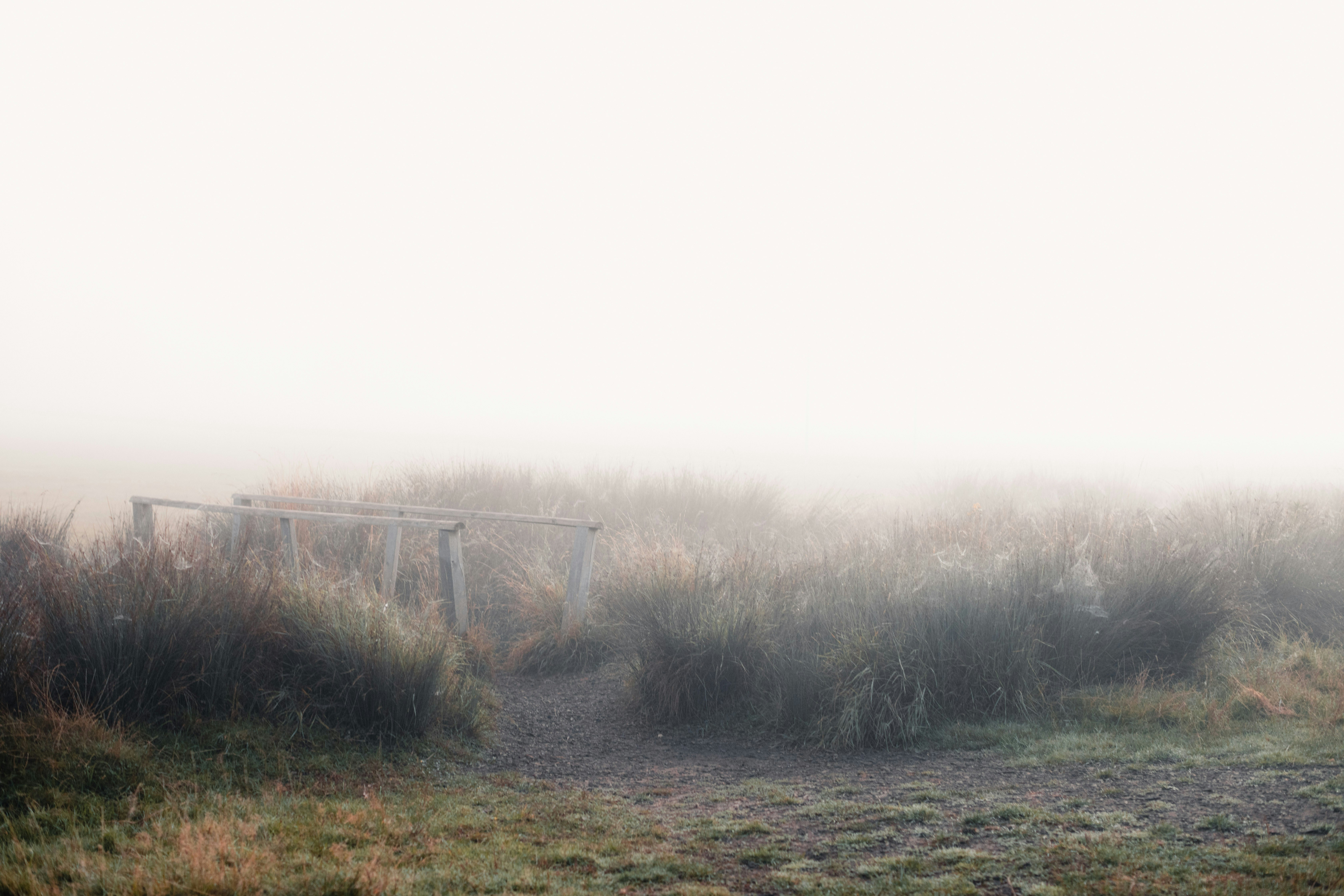 Mist on the Ridge: Quiet Gazebo of Grass and Path