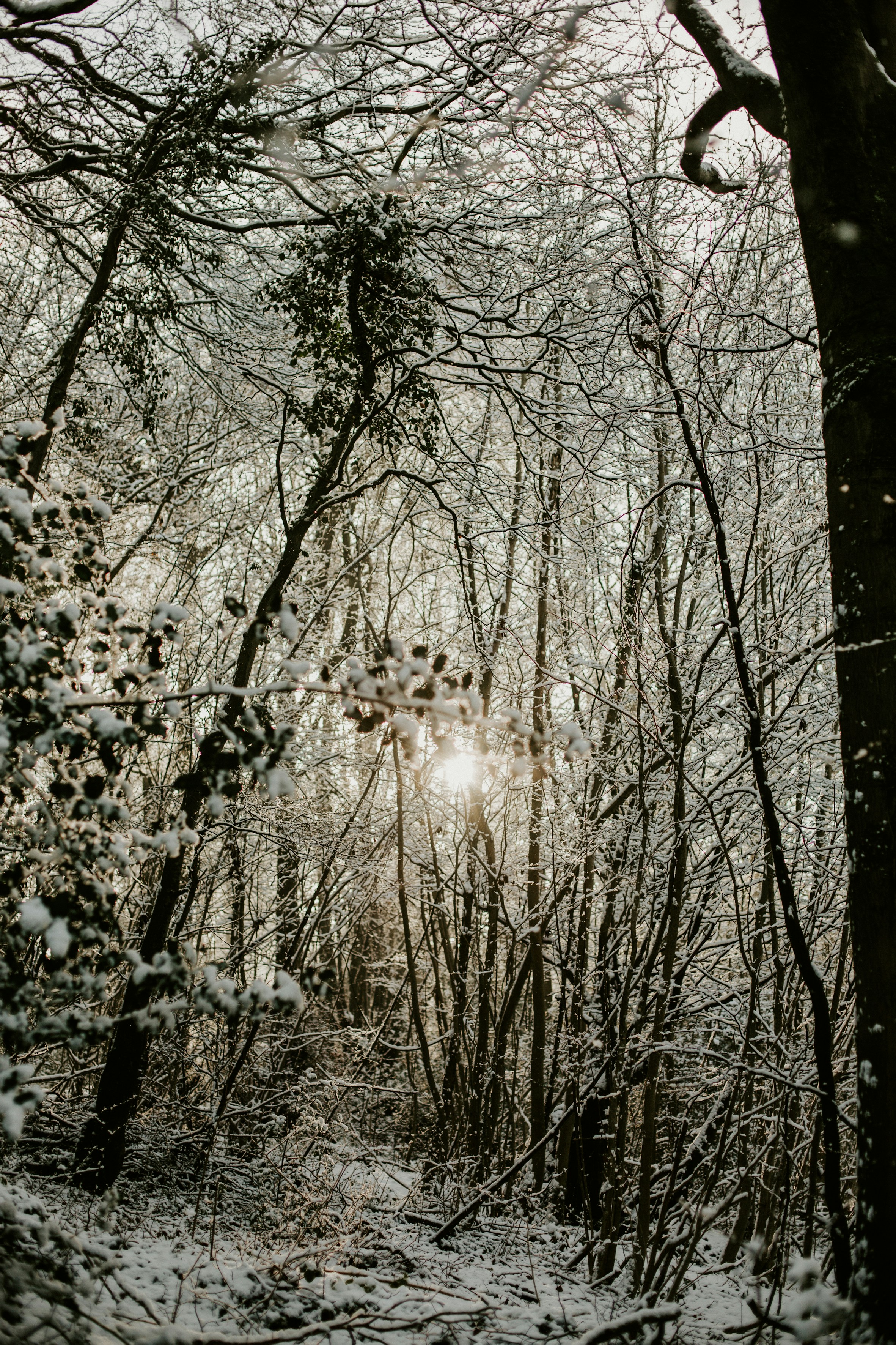 Beth Jnr (@bthjnr) | Unsplash 사진 커뮤니티