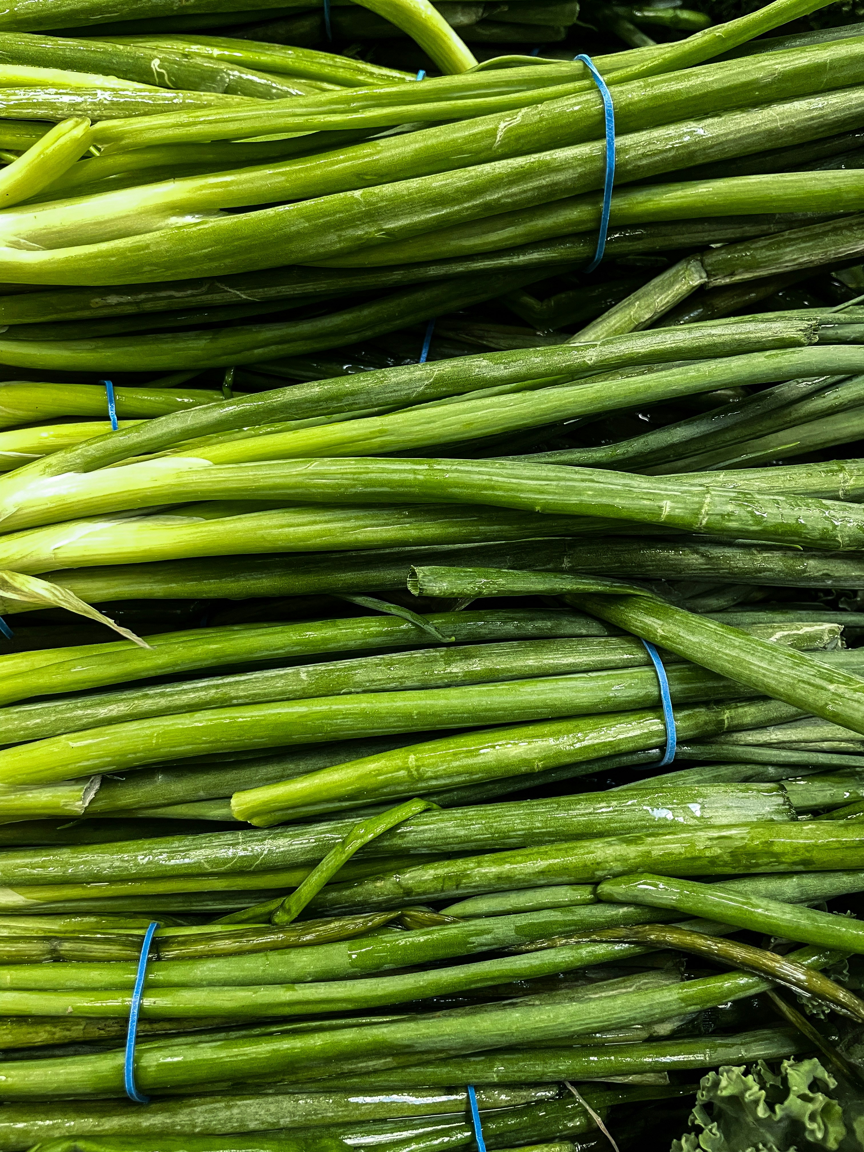 Chives Pictures | Download Free Images on Unsplash