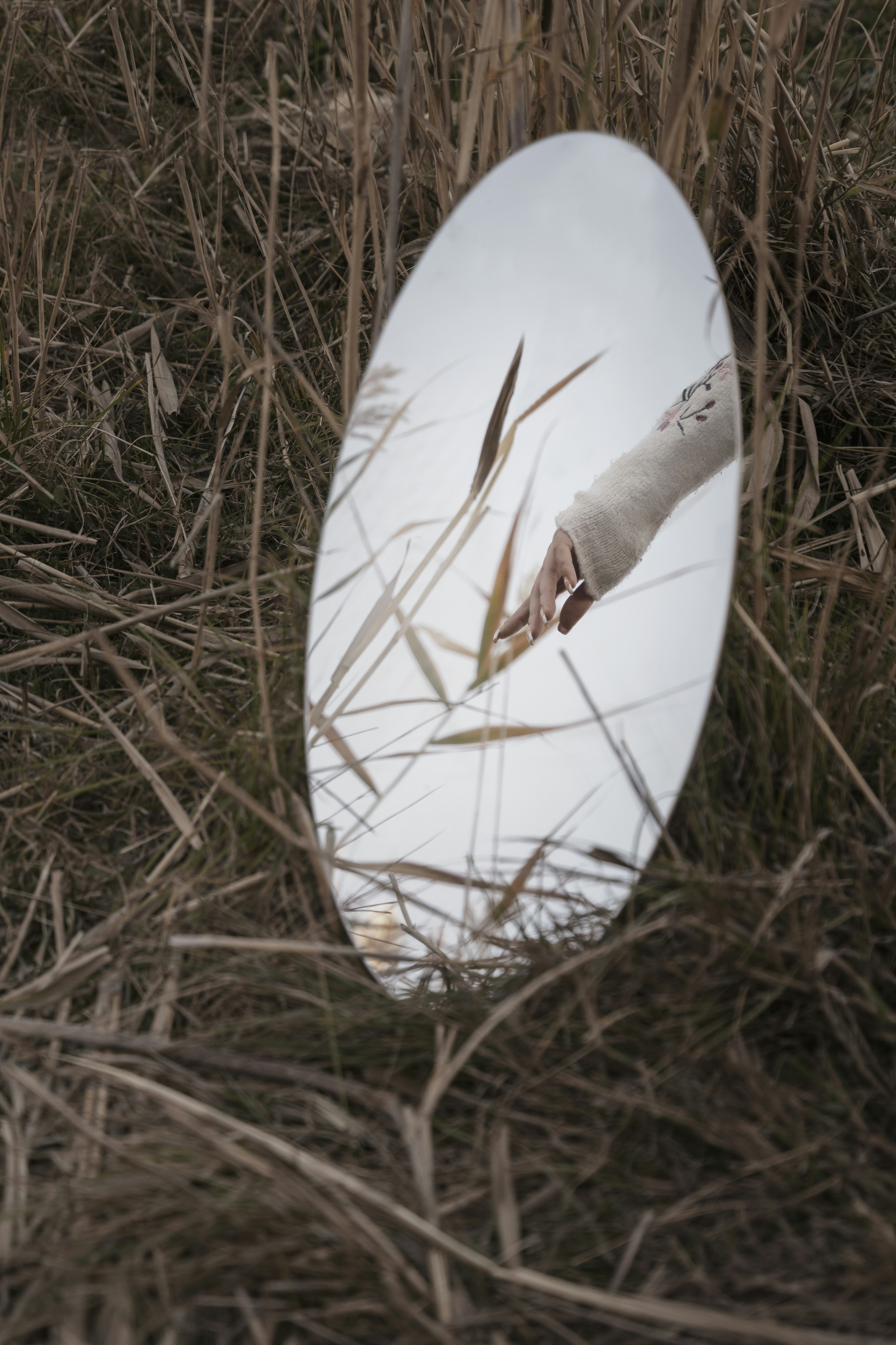 A hand reaching toward tall grass is reflected in an oval mirror resting on the ground, creating a dialogue between human and nature.