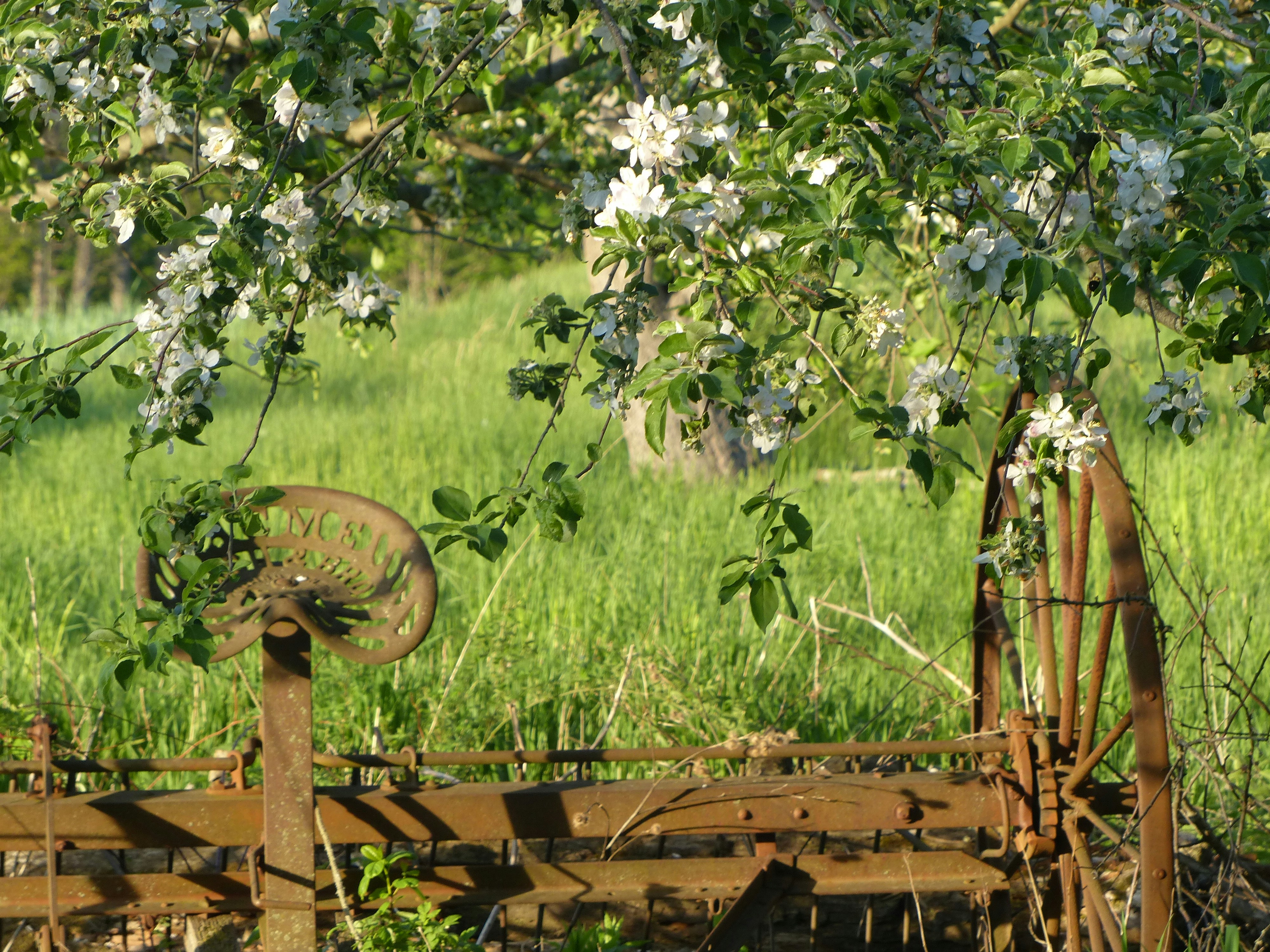 Farm Background Pictures | Download Free Images on Unsplash