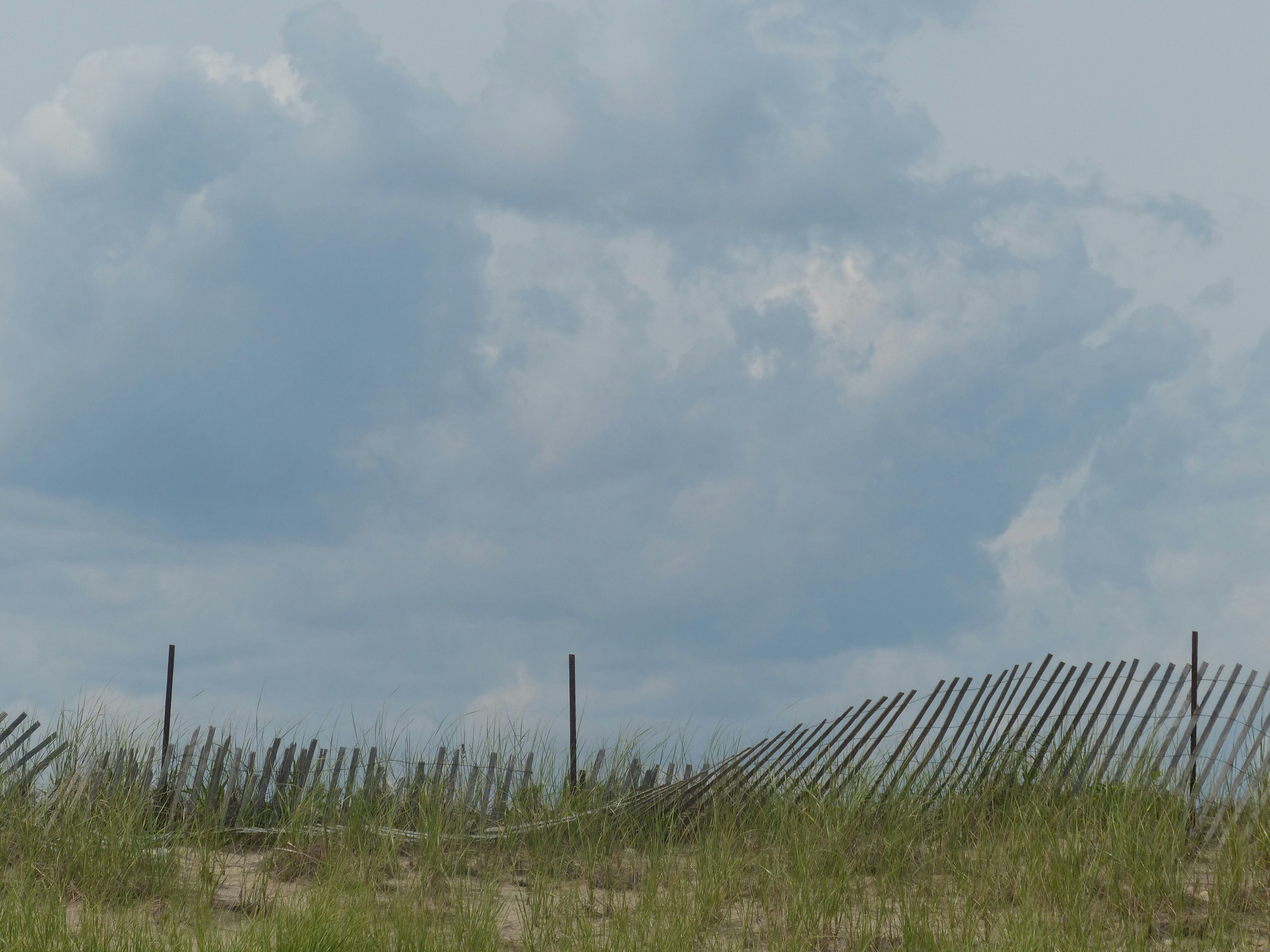 Diagonals in the Dunes: A Weathered Fence Tracing the Horizon