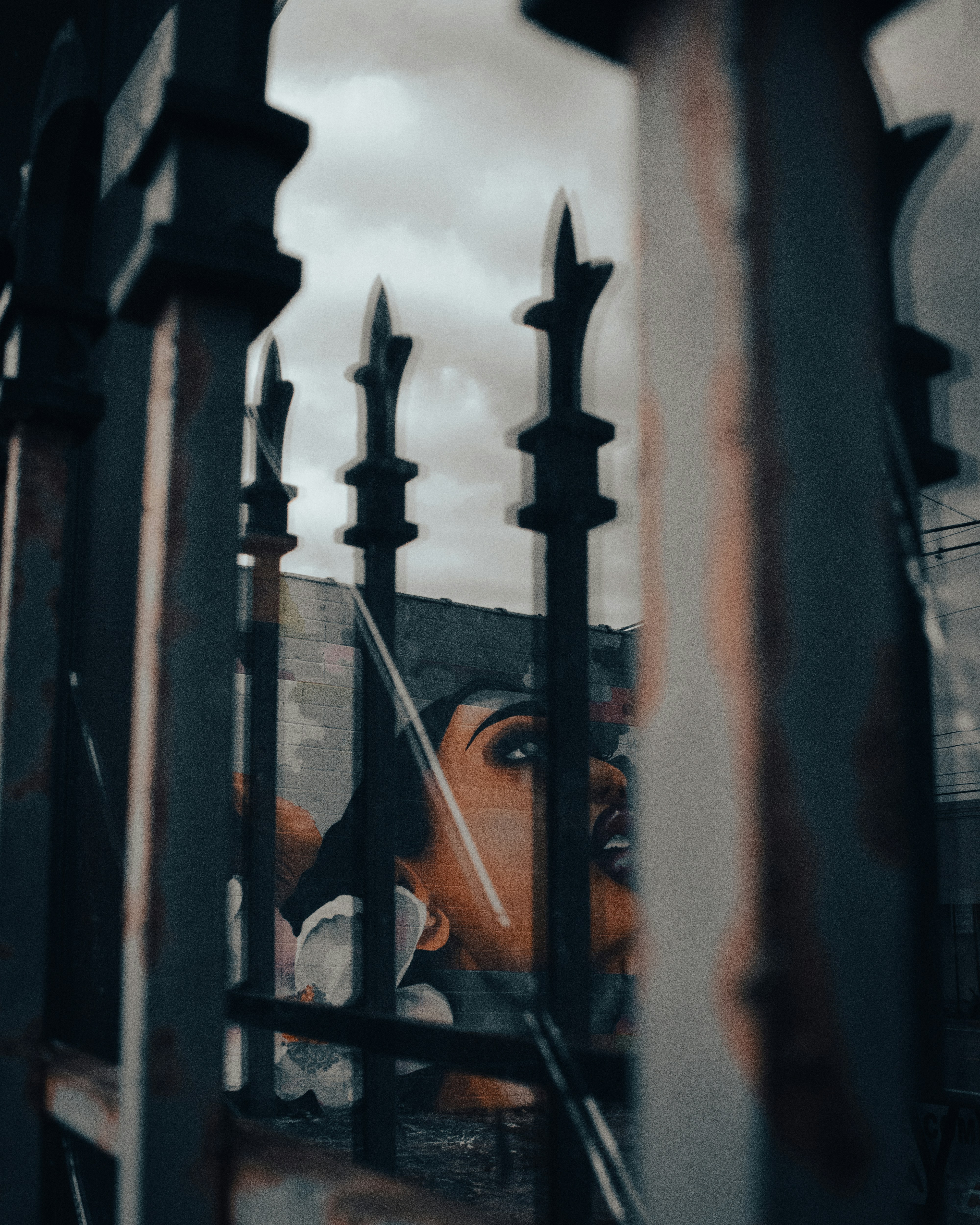 Faces Beyond the Iron Spikes: A Muraled Gaze Through a Fence