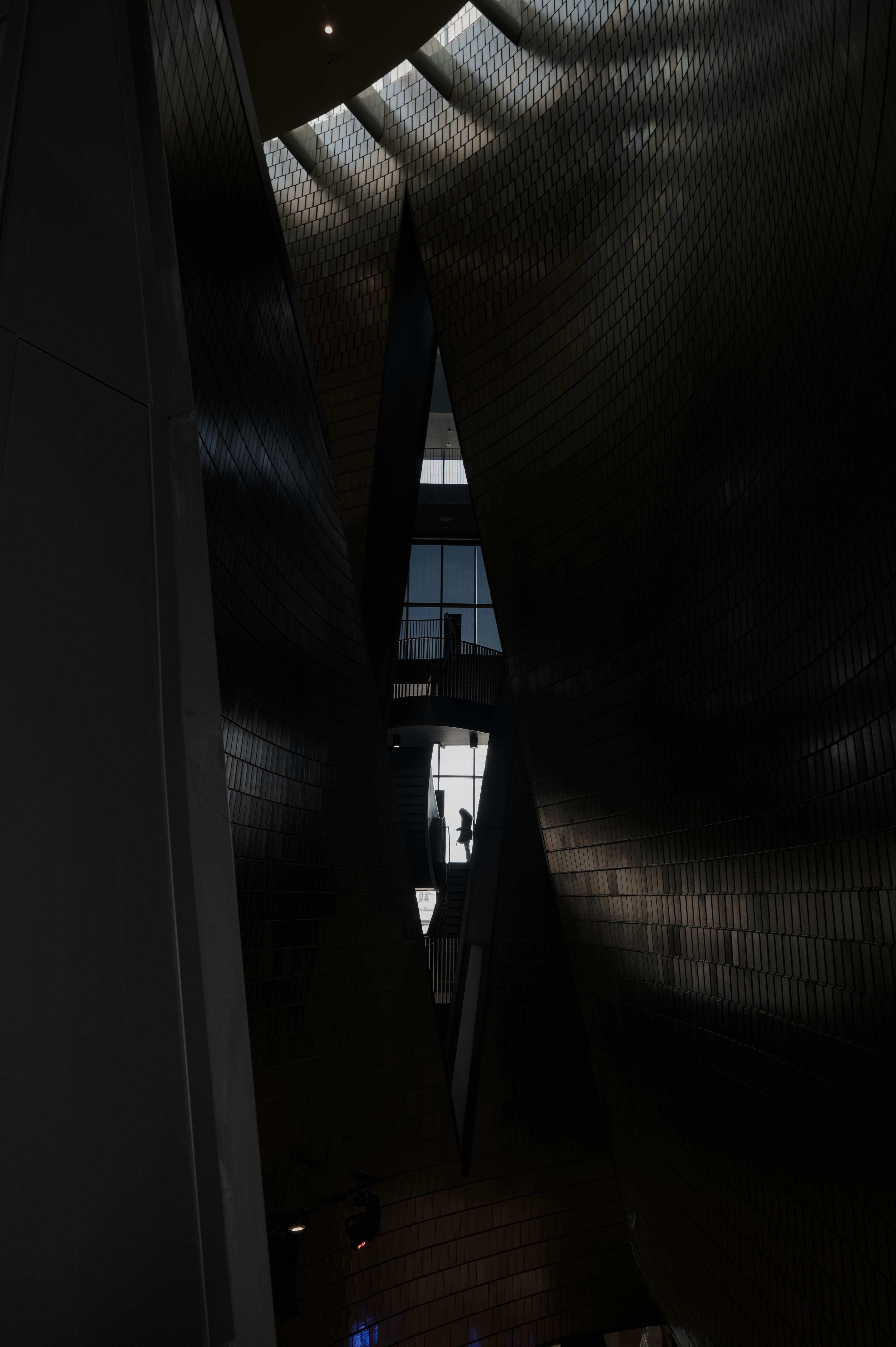 Photo by Ryunosuke Kikuno with Nikon Z6 II