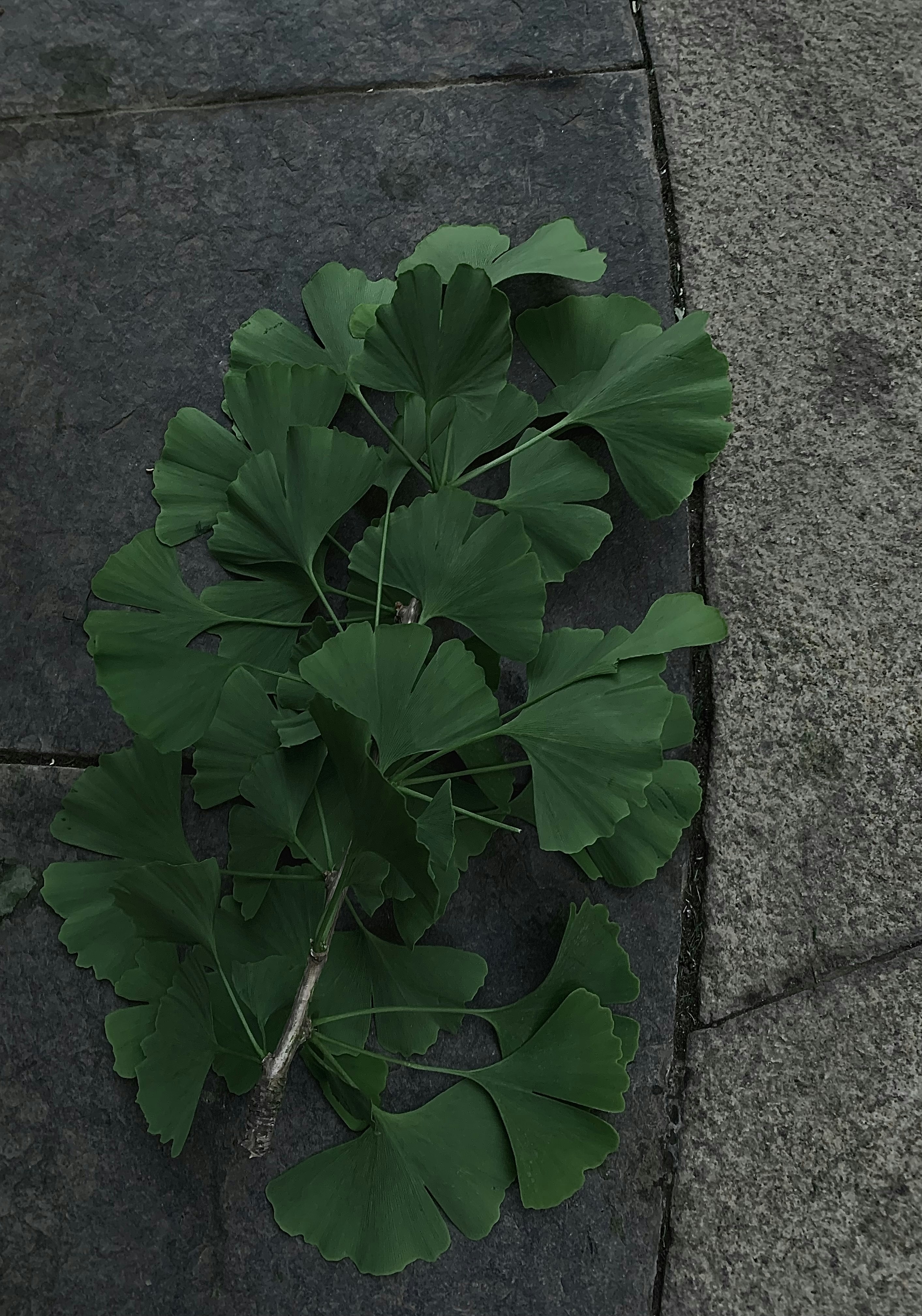 YANXI DONG (@fairytalebliss) | Komunitas Foto Unsplash