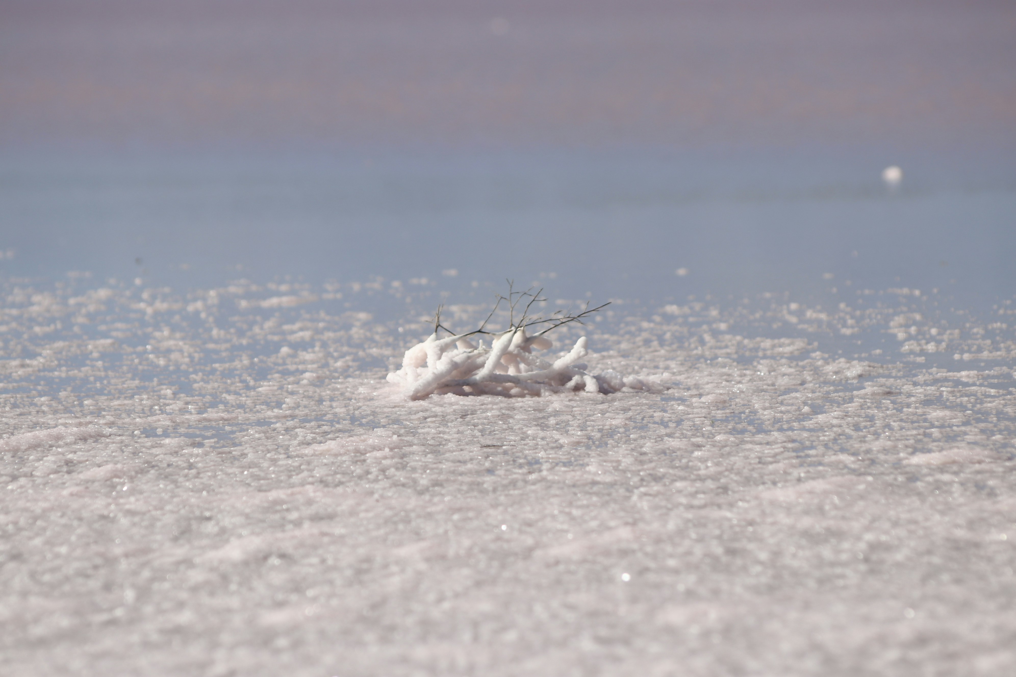 White Remnant on a Glassy Salt Flat Beneath a Pink Dawn