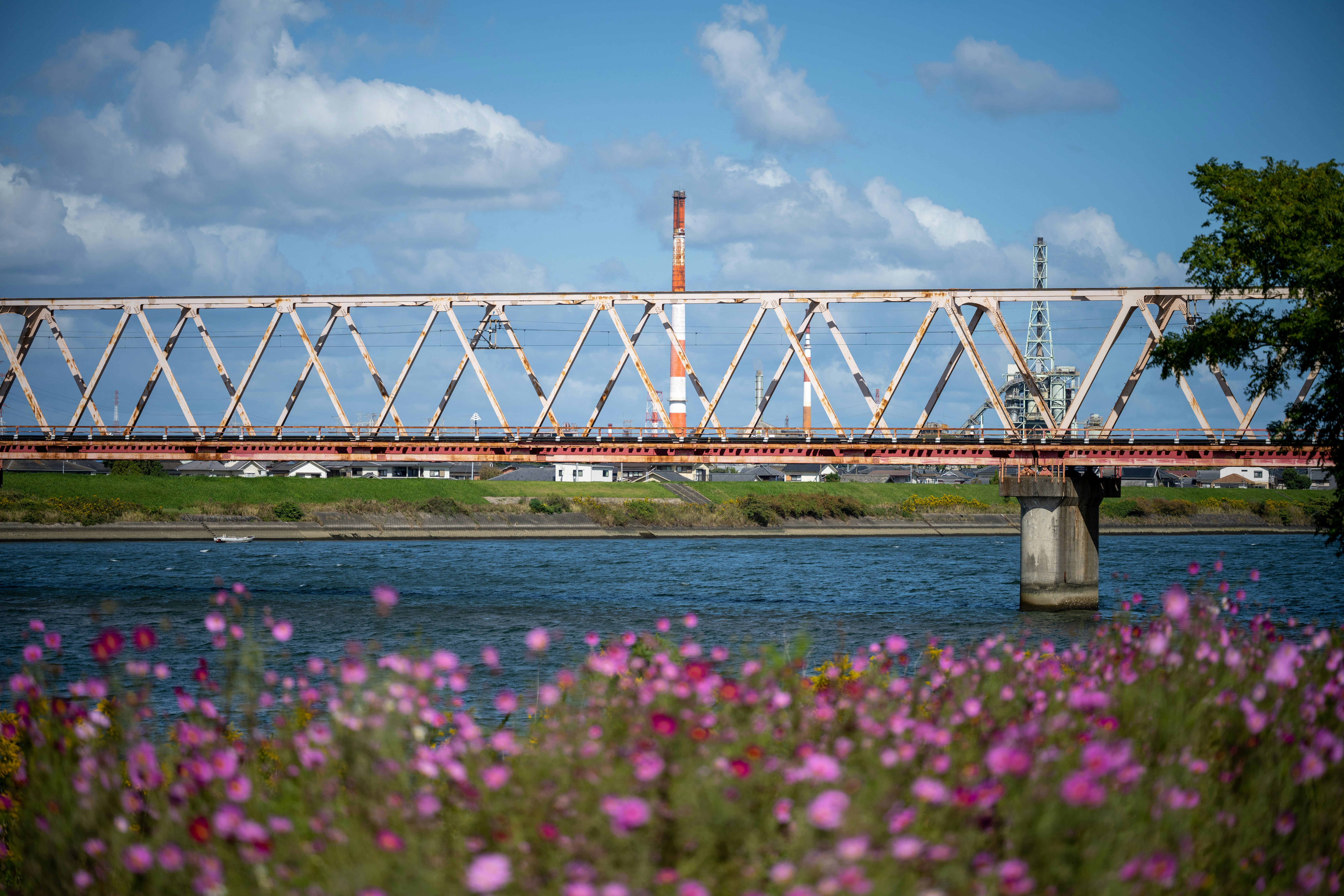 A vibrant scene featuring a steel bridge over a river, framed by blooming flowers in the foreground and a blue sky with scattered clouds.