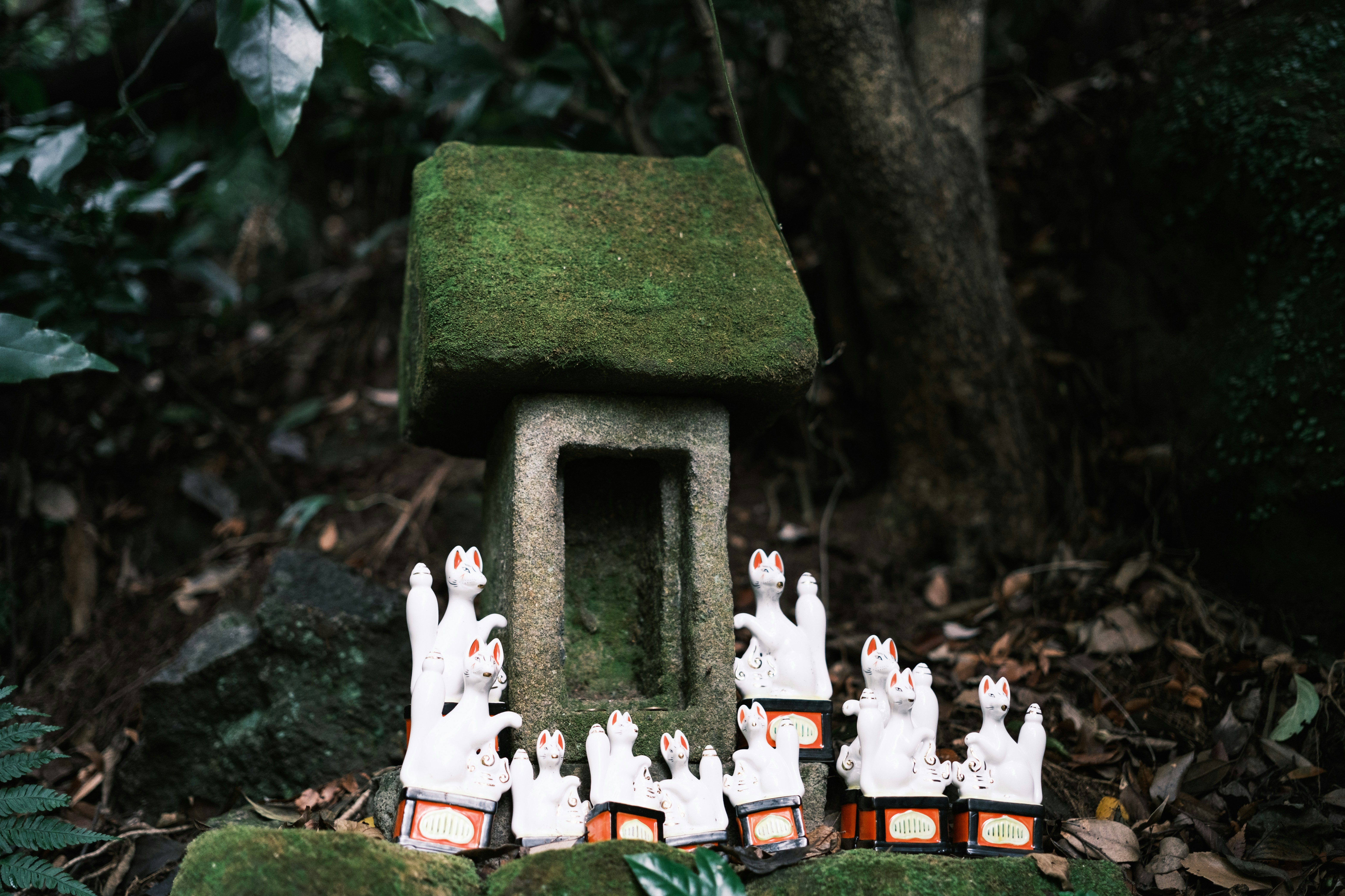 Enigmatic Forest Shrine Guardians