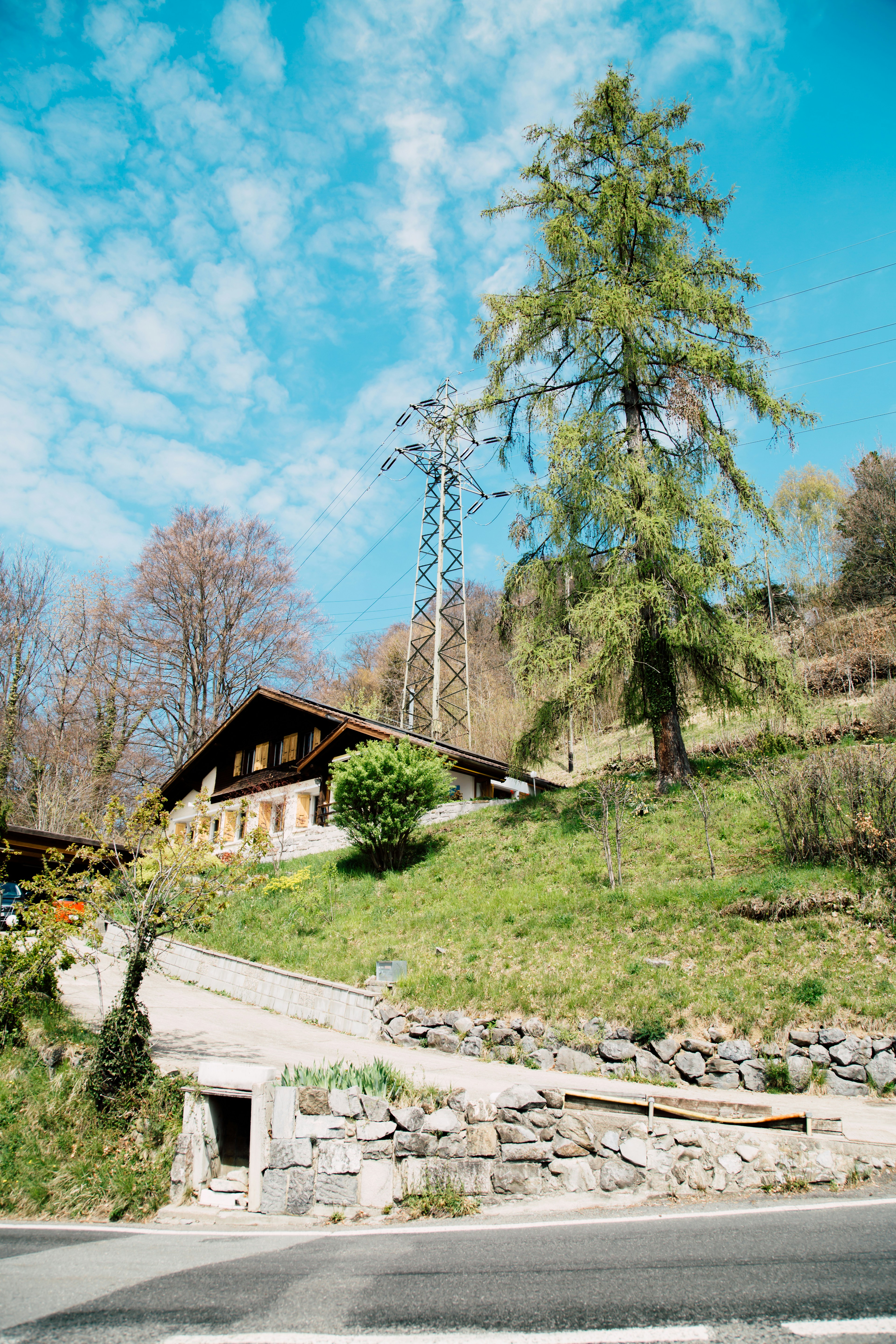 Sunny Alpine Retreat under a Sky-veiled Cedar