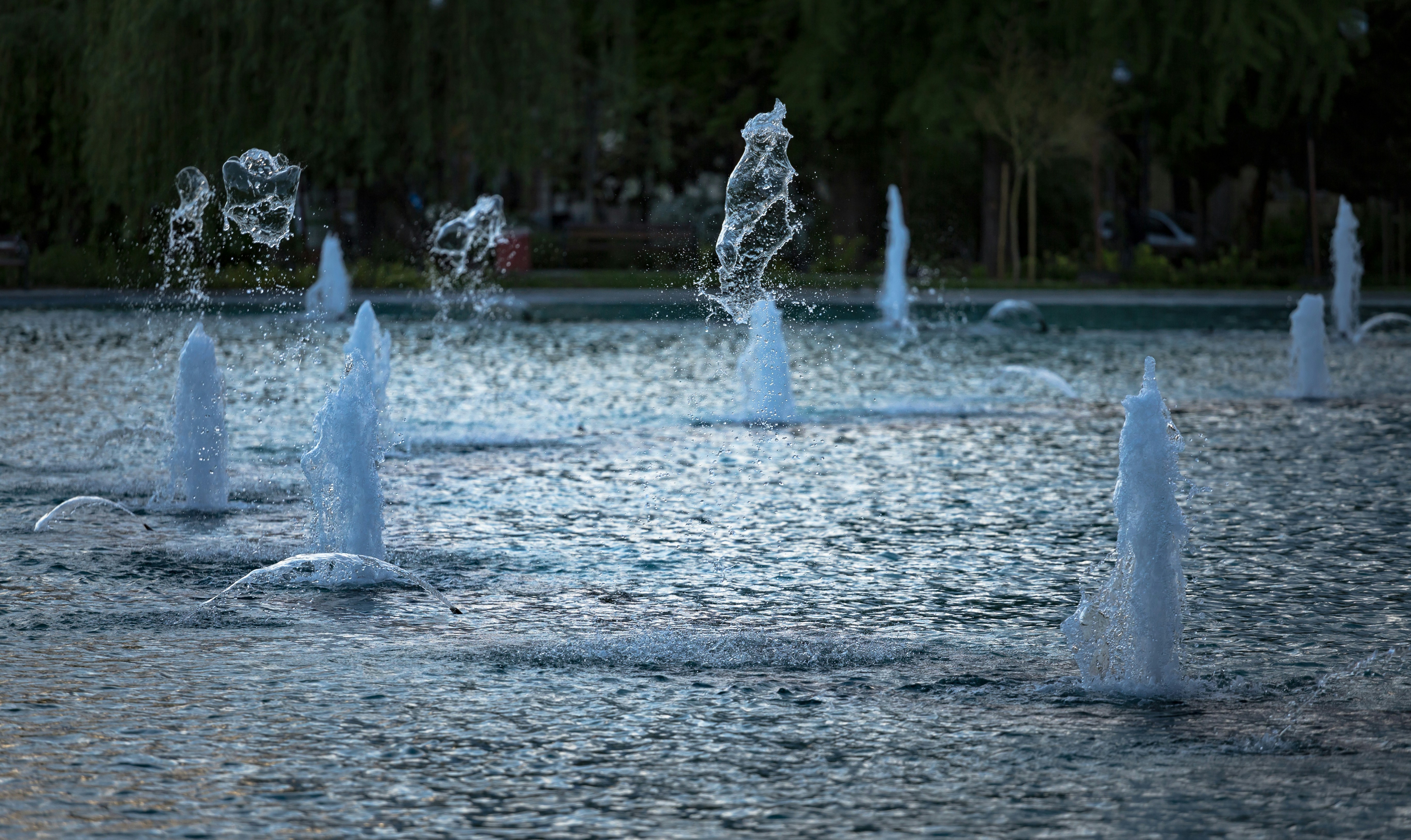 A group of fountains spouting water into a pond photo – Free Bulgaria ...
