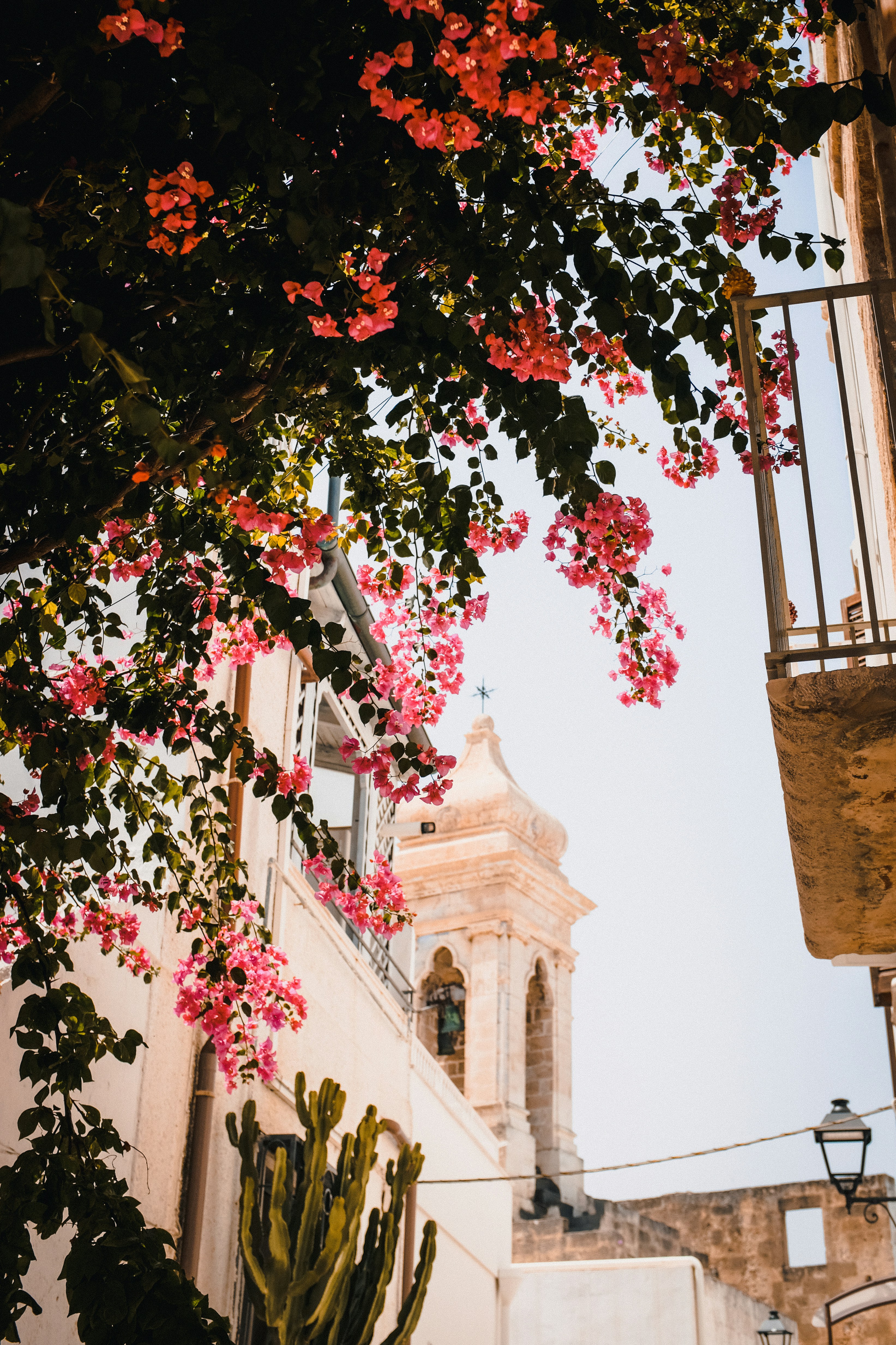 Vibrant bougainvillea cascades over a narrow street, framing a historic bell tower under a clear sky.