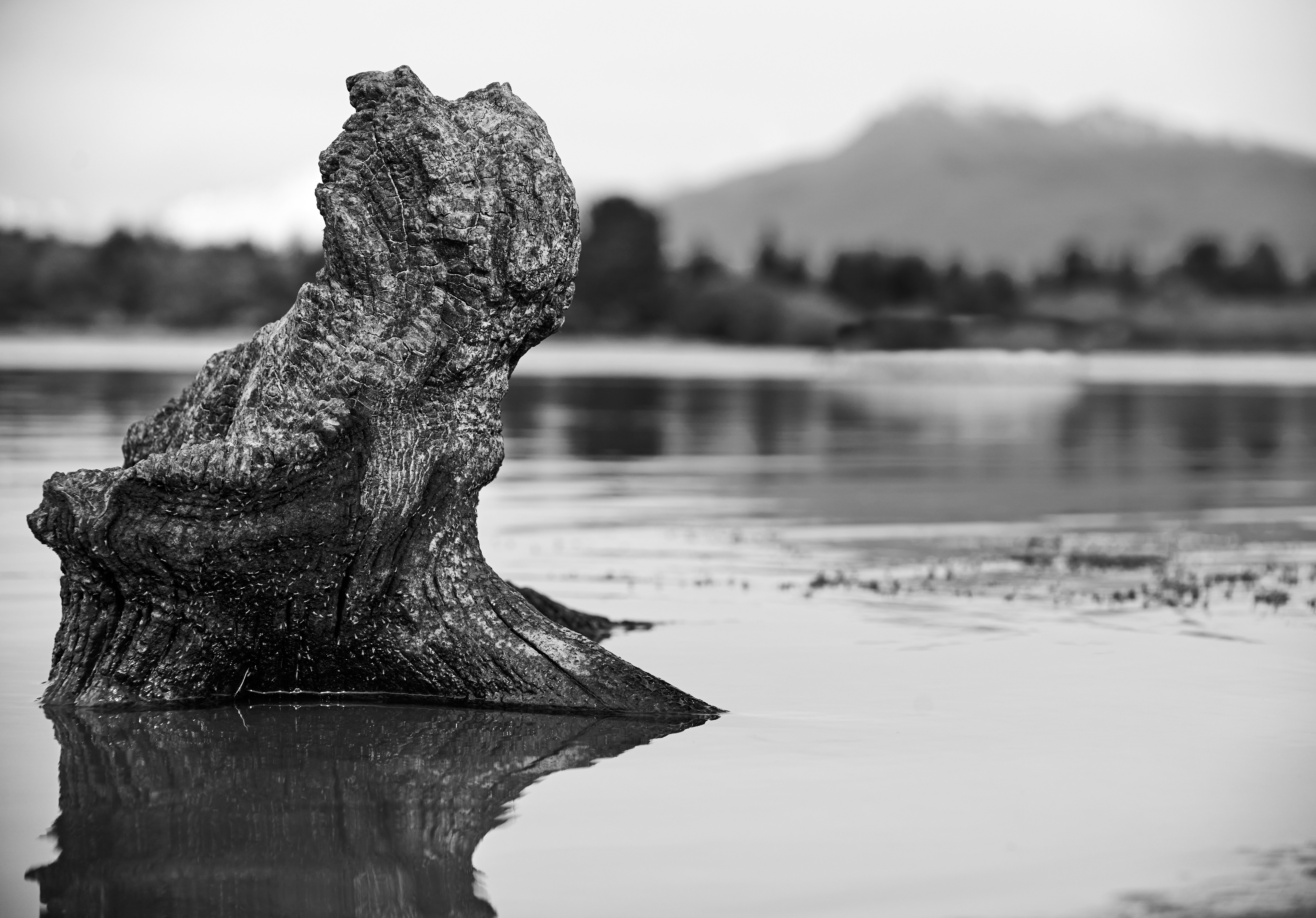 Best 500+ Login Pictures [HD] | Download Free Images on Unsplash