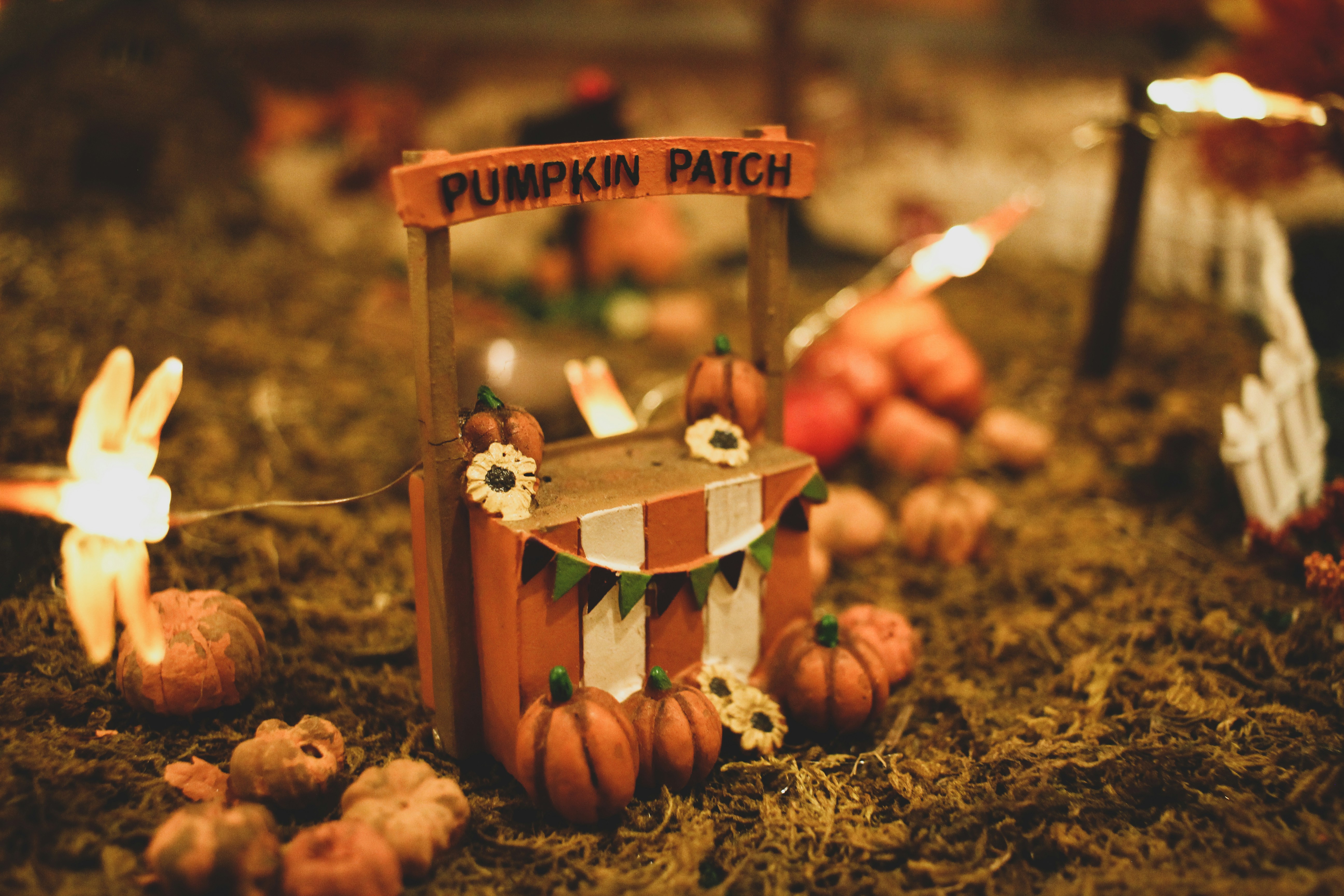 Close up on miniature figurine of pumpkin patch