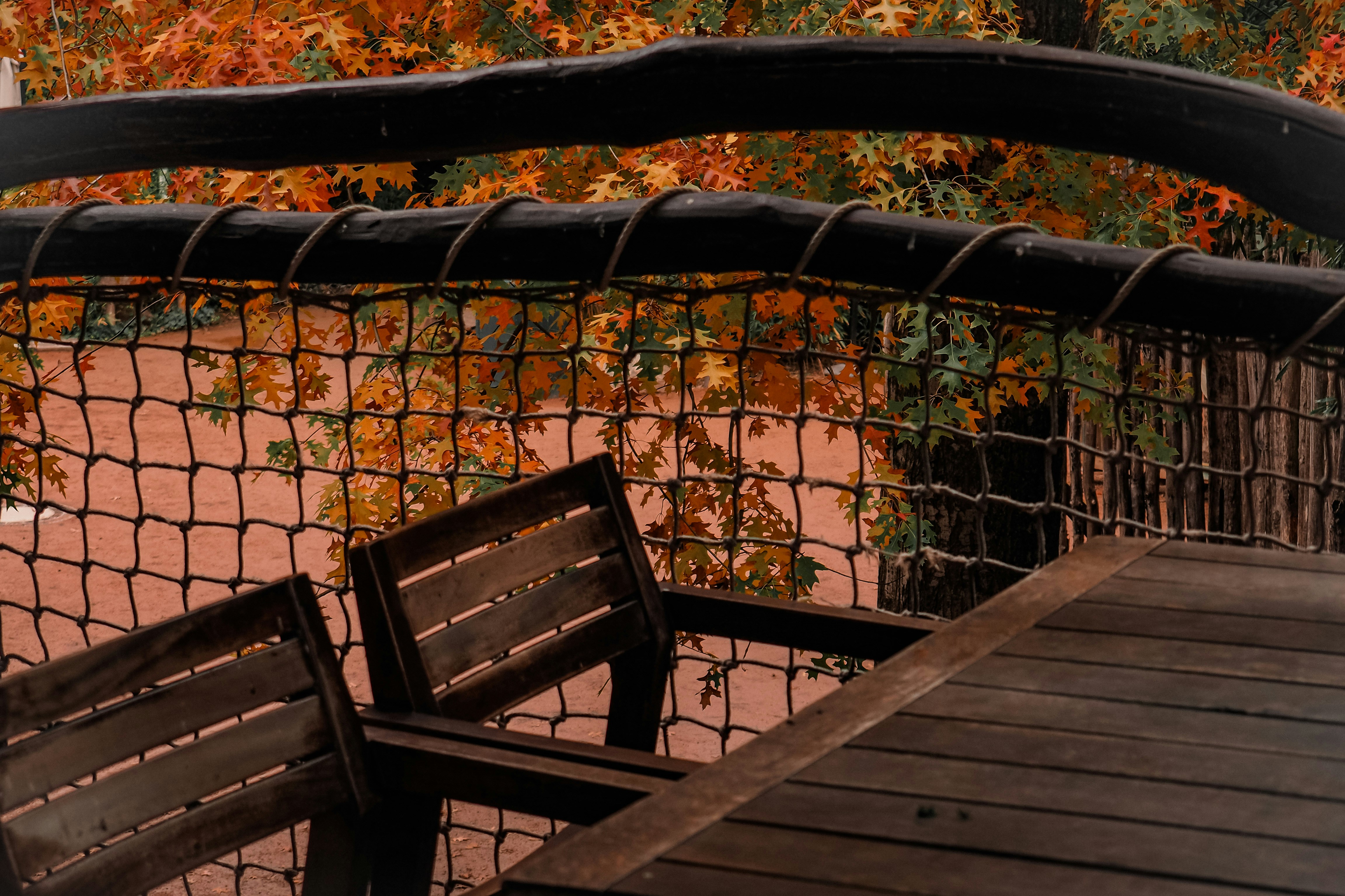 Photo by Tetiana Siedaia with Olympus OM-D E-M10 Mark III