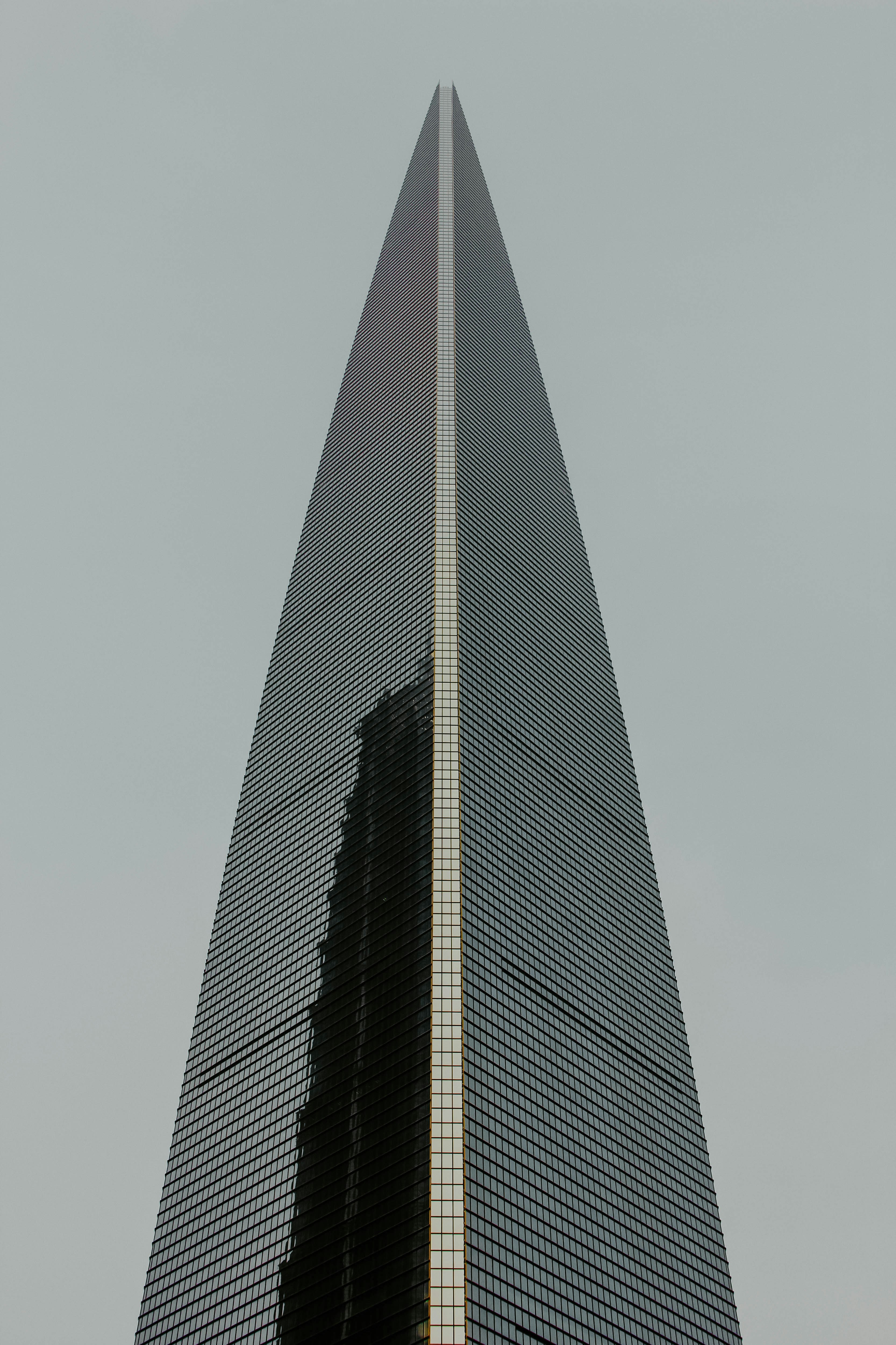 The Silver Spire: A Glass Tower Piercing the Pale Sky