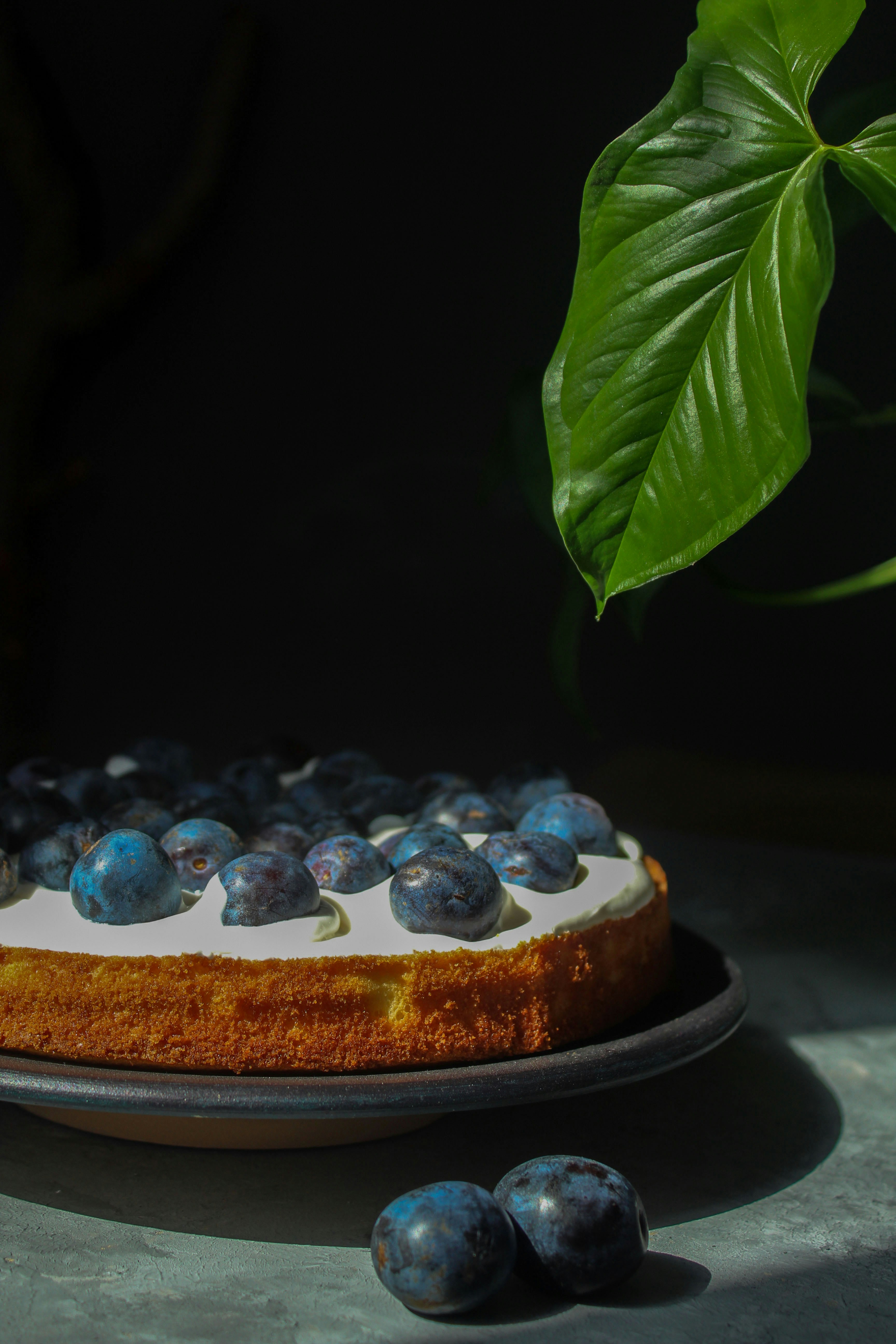 Blueberry Crown on Cream: A Quiet Slice Beneath a Giant Leaf