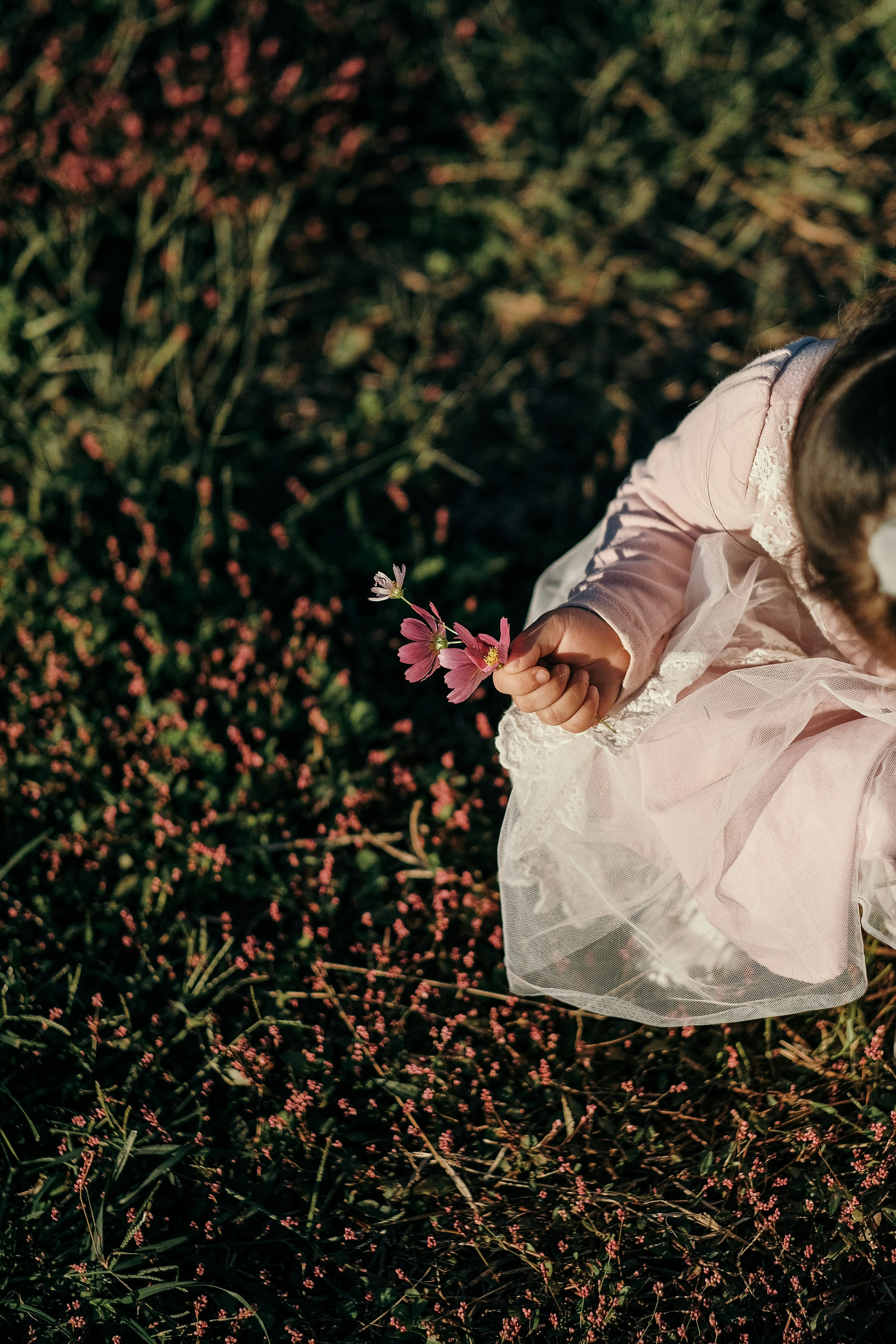 A young child in a delicate pink dress gently holds a flower amidst a field of wildflowers. The soft light enhances the serene atmosphere.