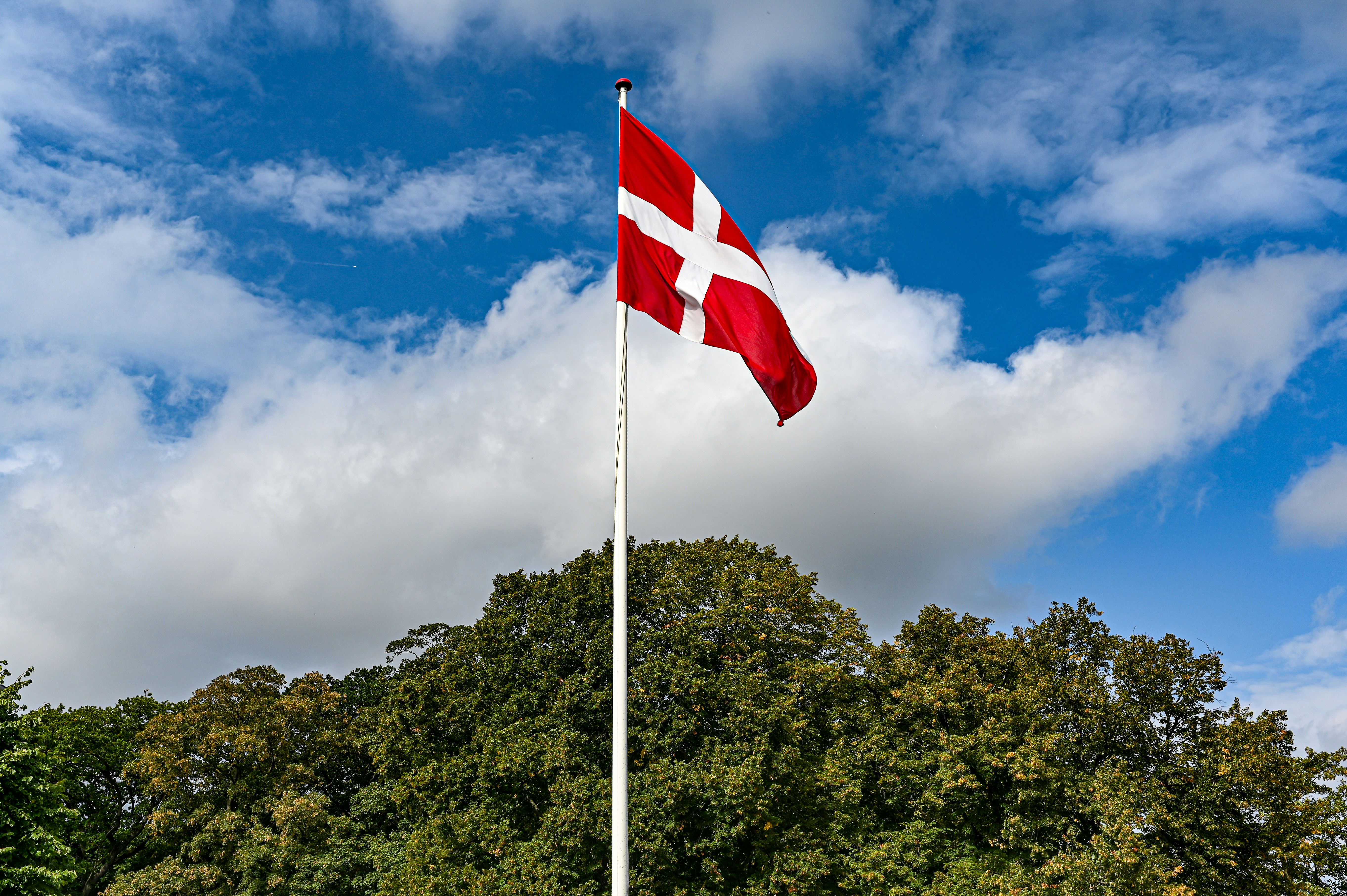 Dannebrog Pictures | Download Free Images on Unsplash