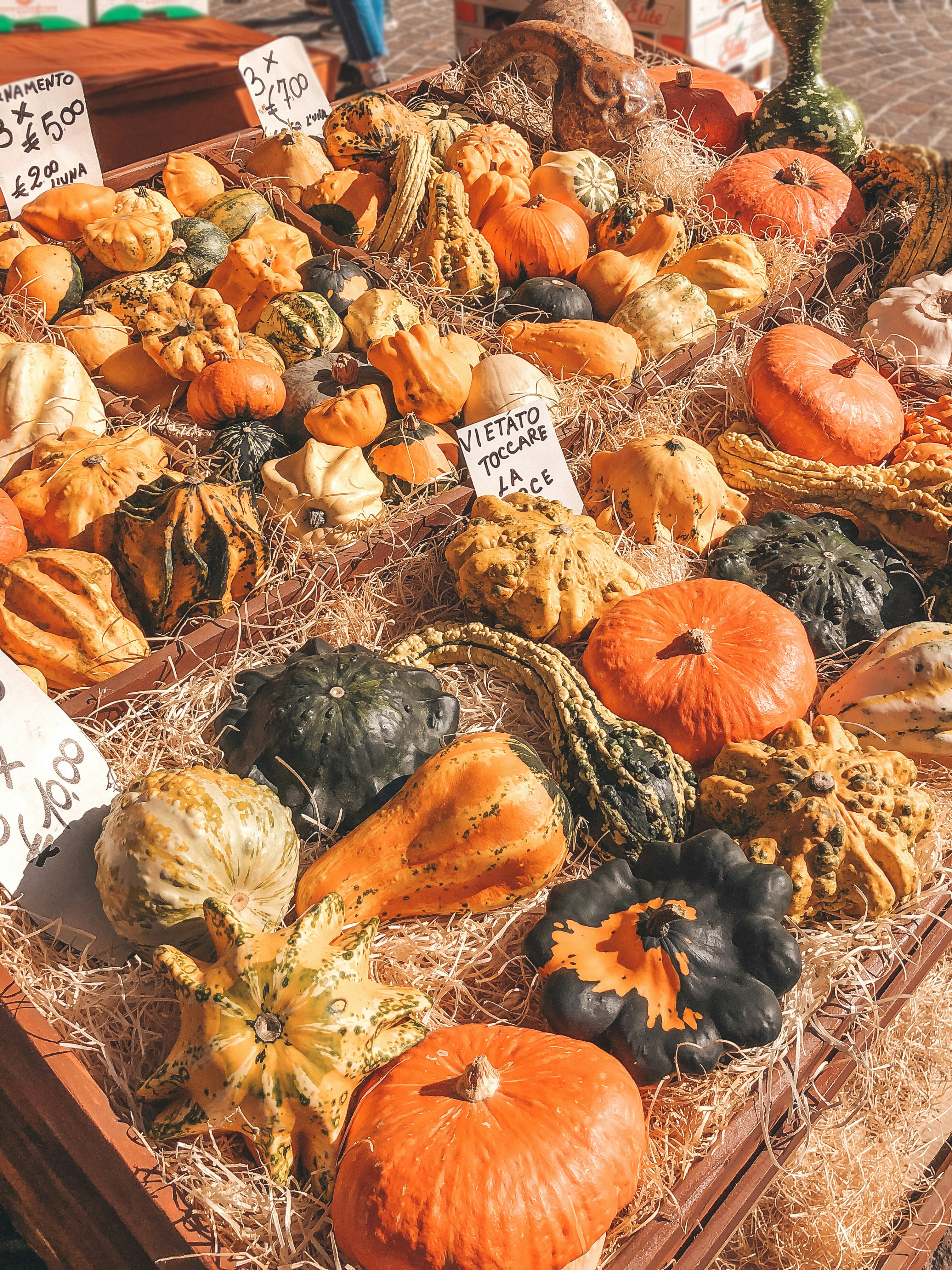 Decorative pumpkin in Italy