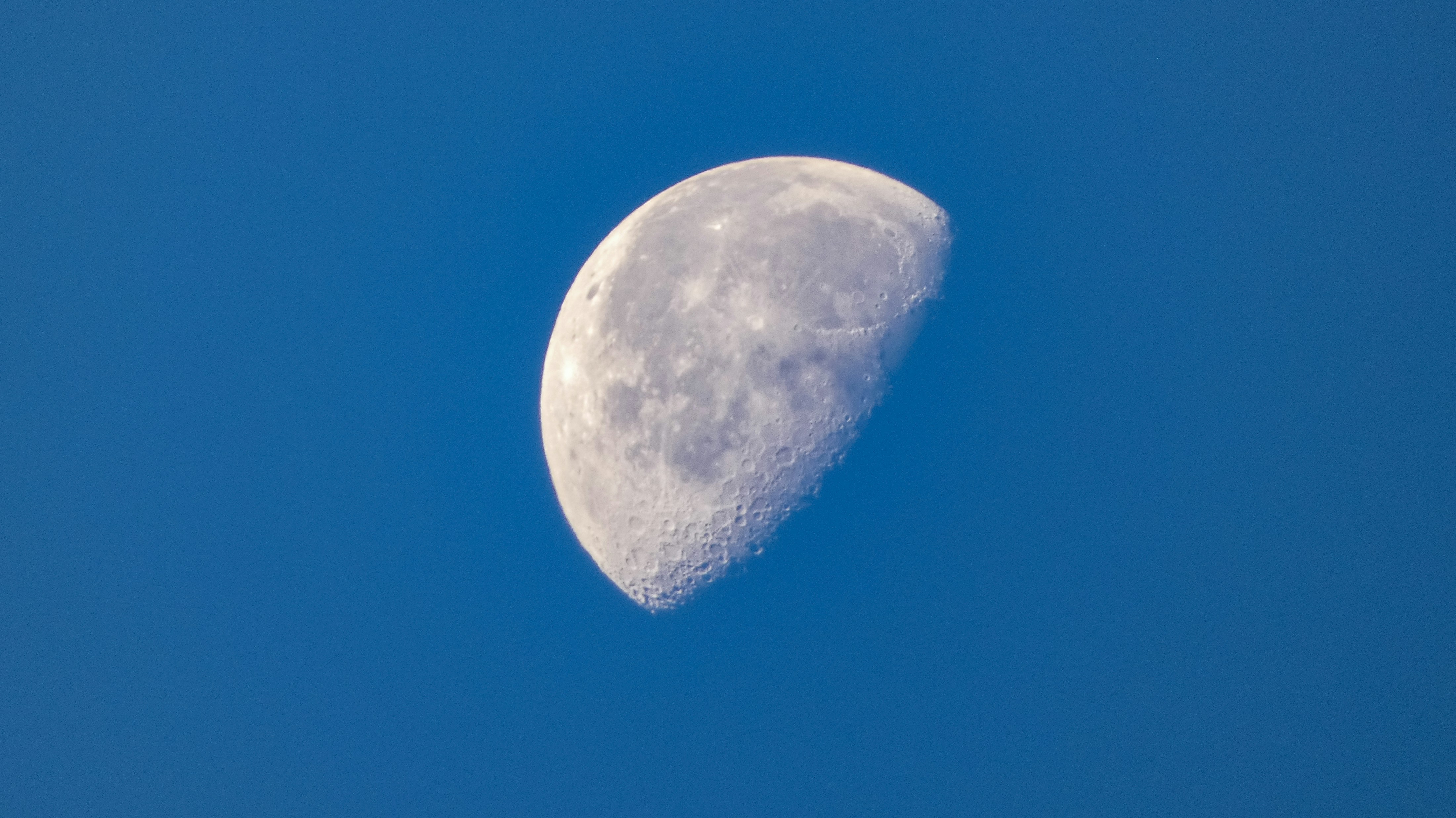 A half moon in a clear blue sky photo – Free Calgary Image on Unsplash