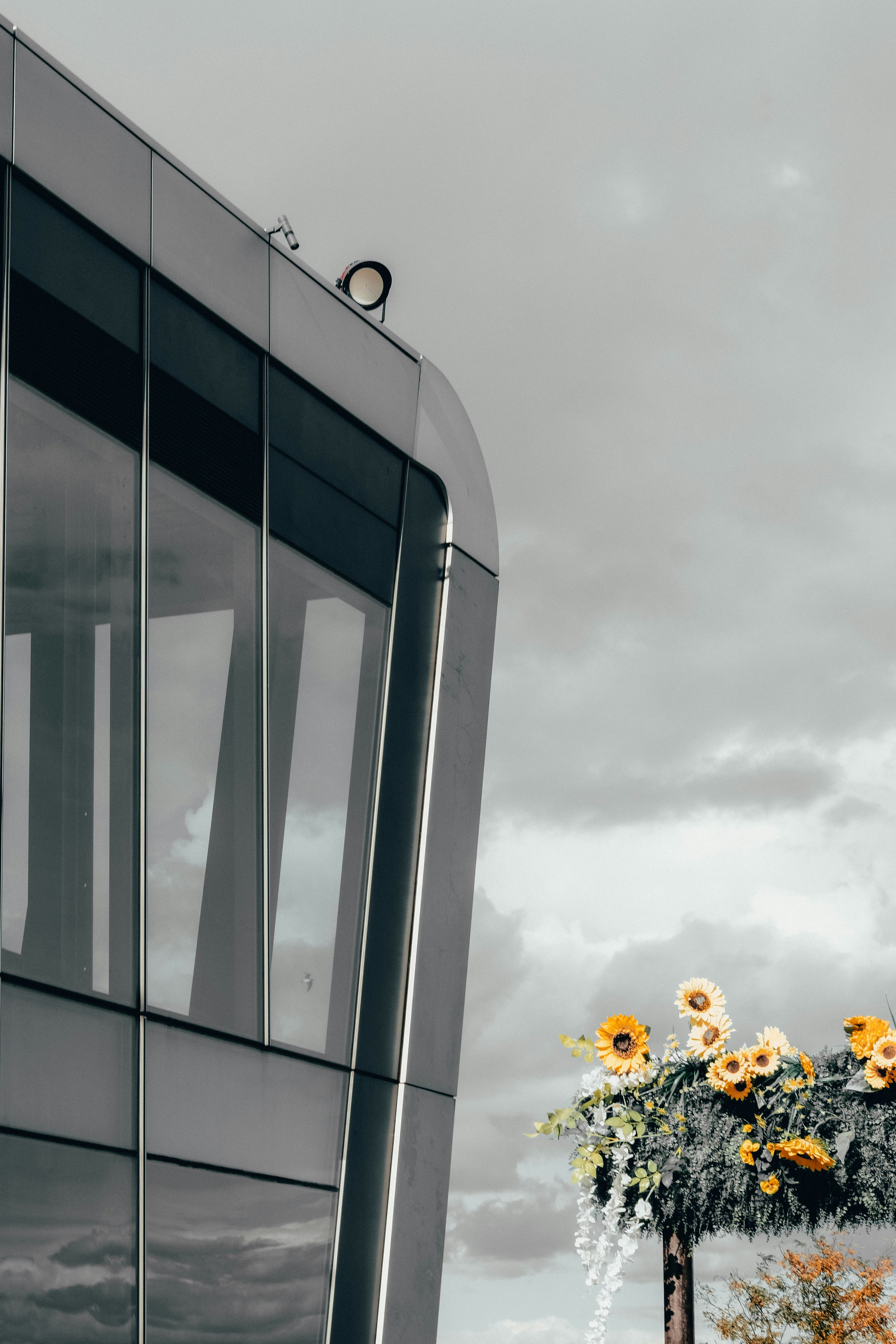 Tilted Glass Corner with Sunflower Bouquet Under Overcast Skies